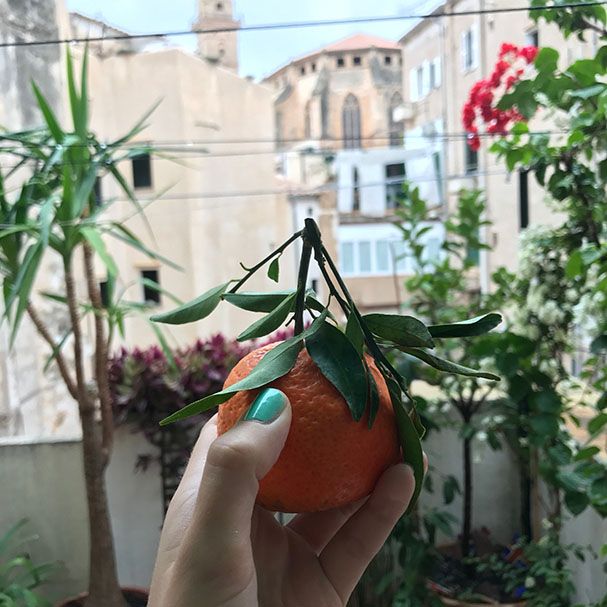 Audrey McCarthy Photo Contest Winner at University of Minnesota, CIEE ...