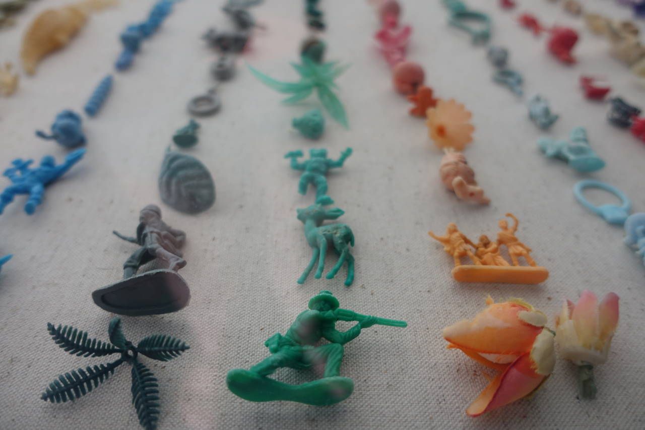 Fighting the War on Plastic | CIEE