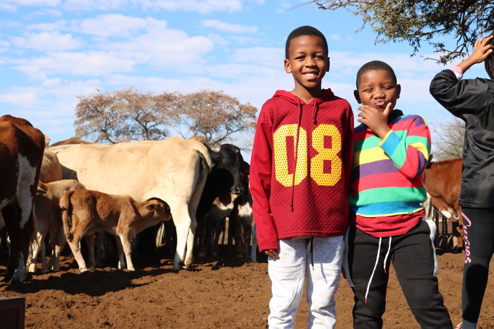 Living the Local Life in Botswana