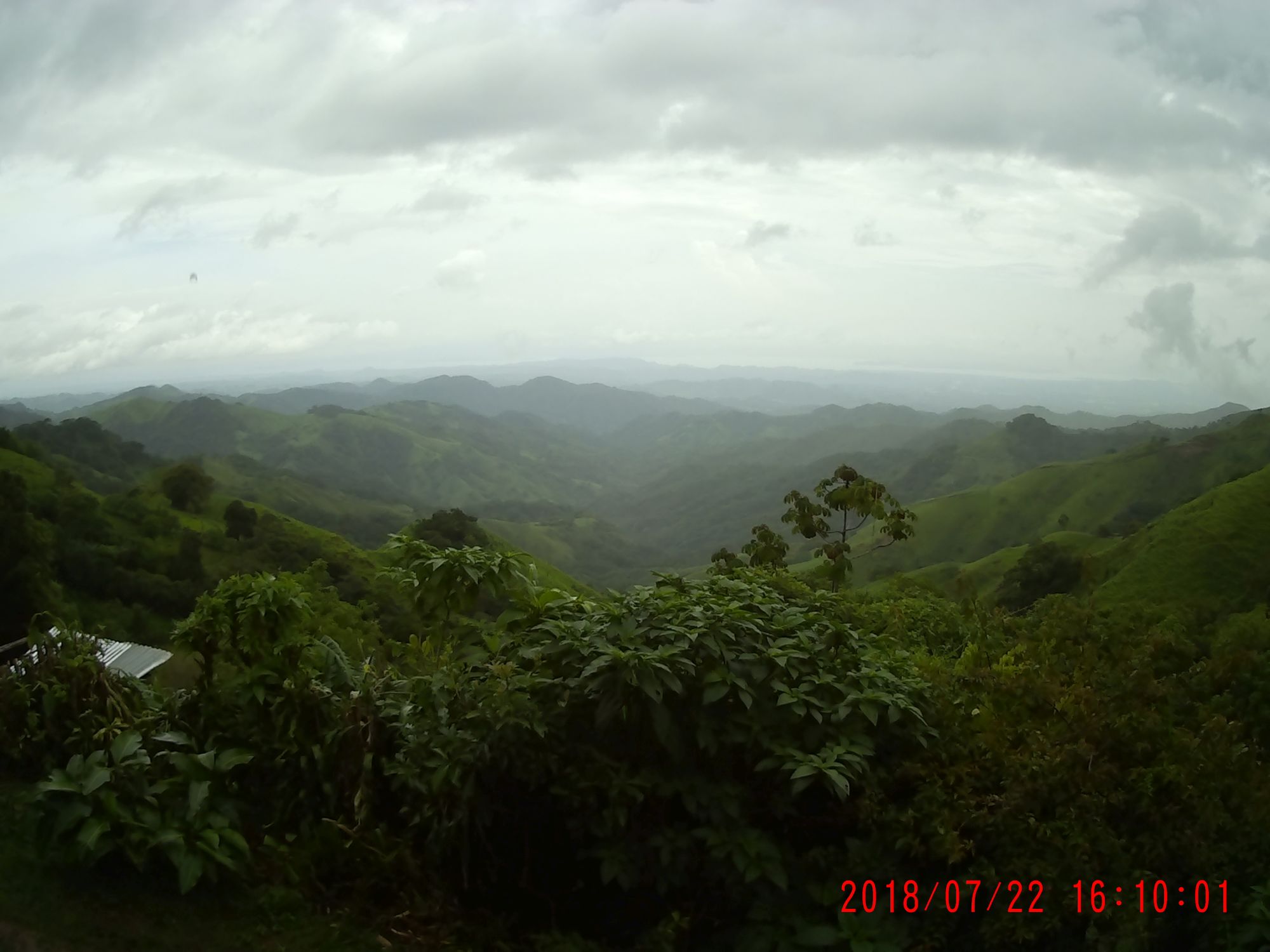 What a Wonderful World (with many trees of green) | CIEE