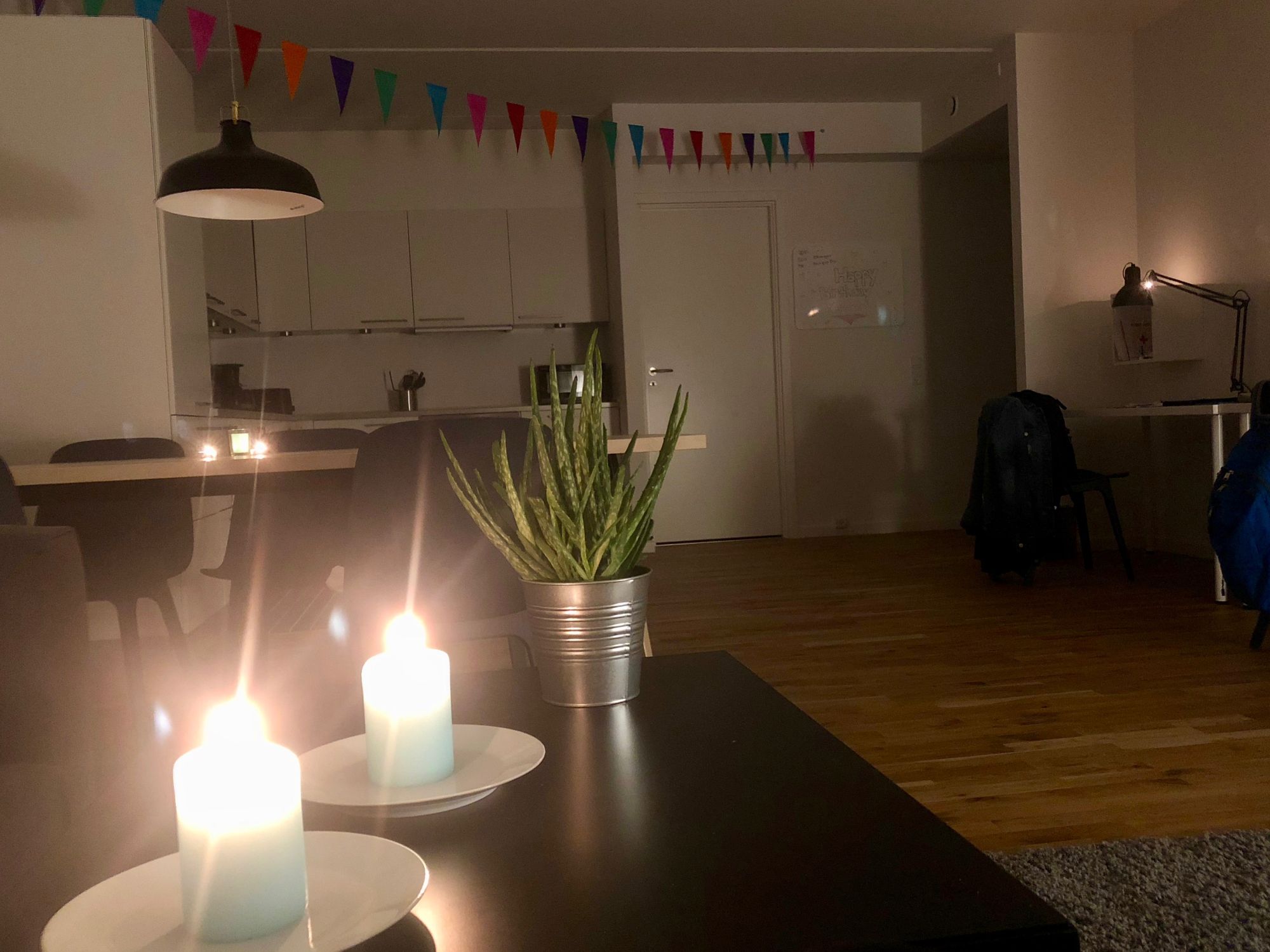 MAKING DENMARK YOUR CLASSROOM