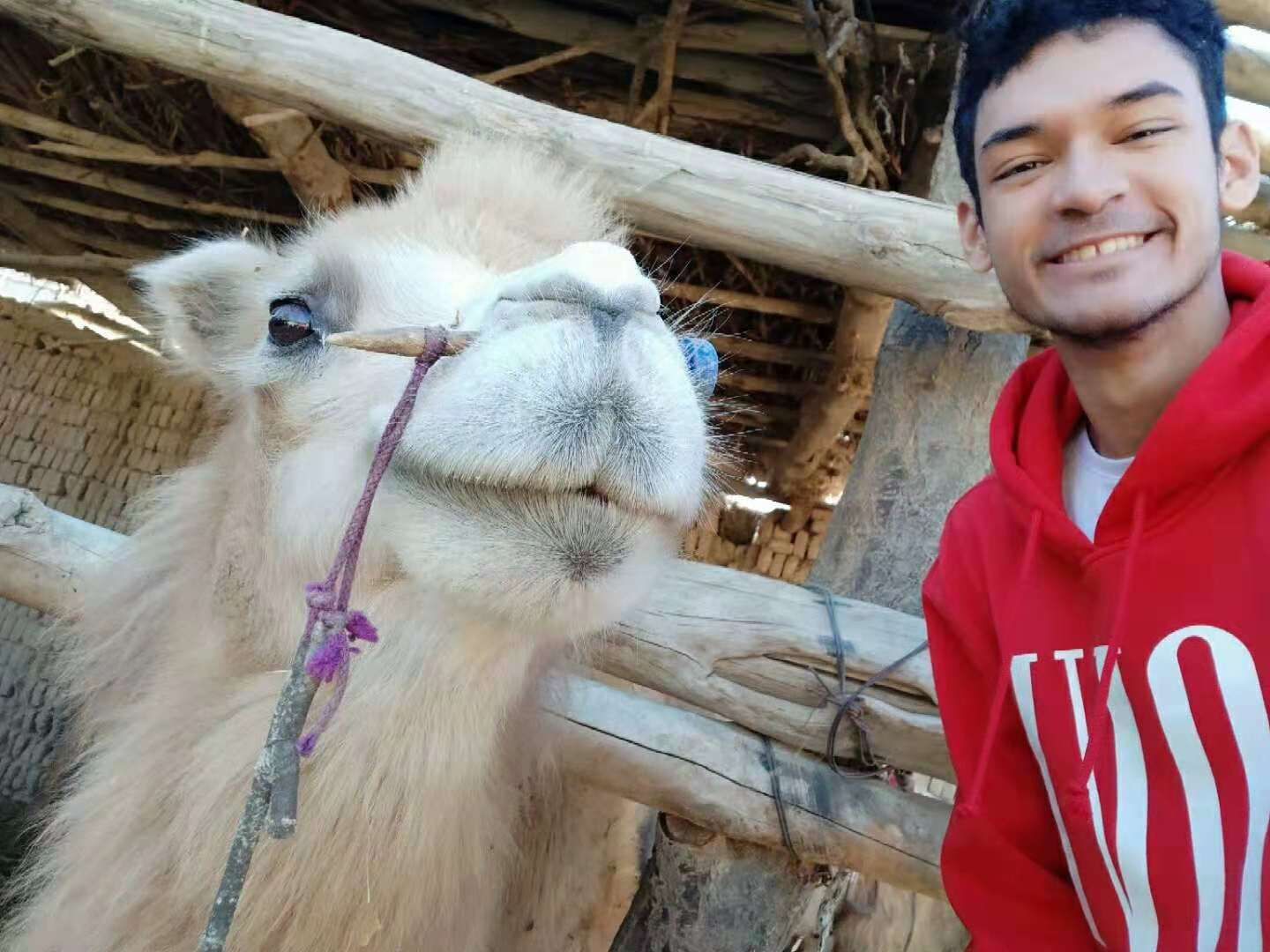 Silk Road Excursion: Reflections with Jordan | CIEE