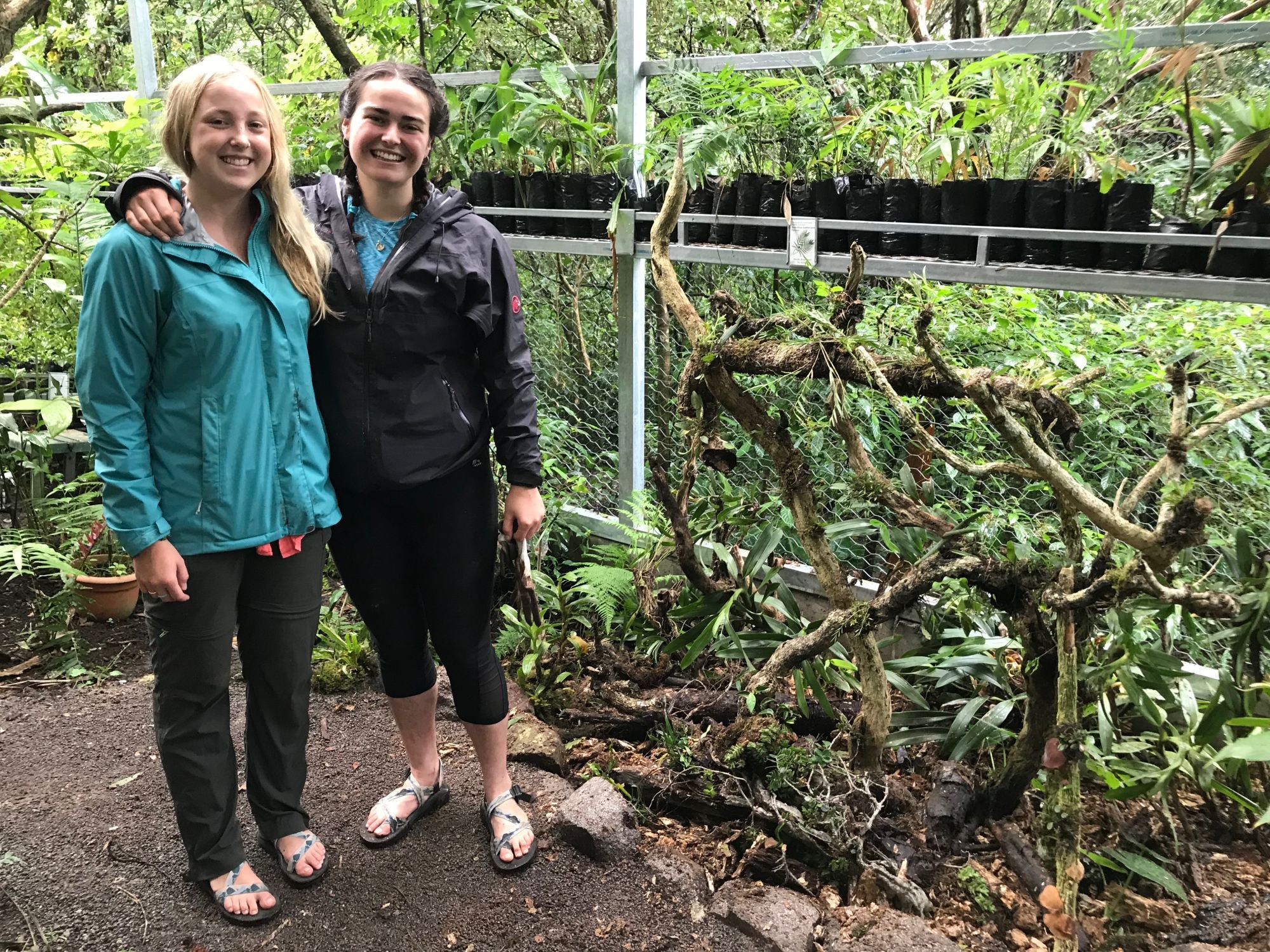 Entering the Pathway to Sustainable Landscape Design at Casa de Arte