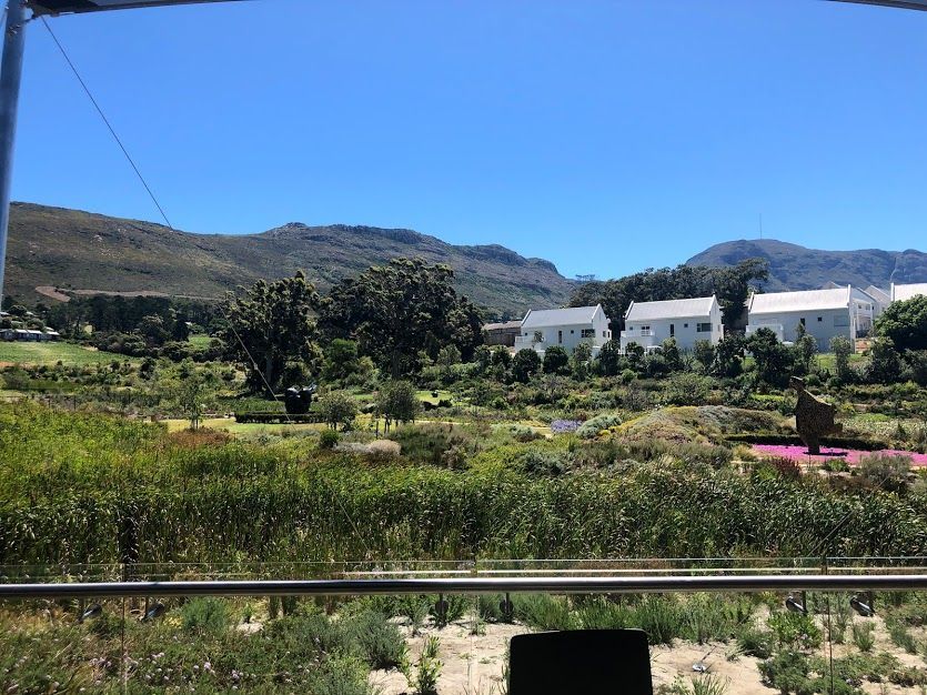 Noval Foundation Sculpture Garden