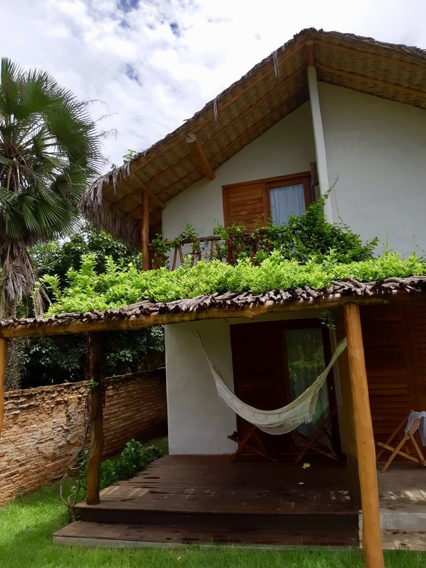 Friendly Conversation With the Brazilian Locals | CIEE