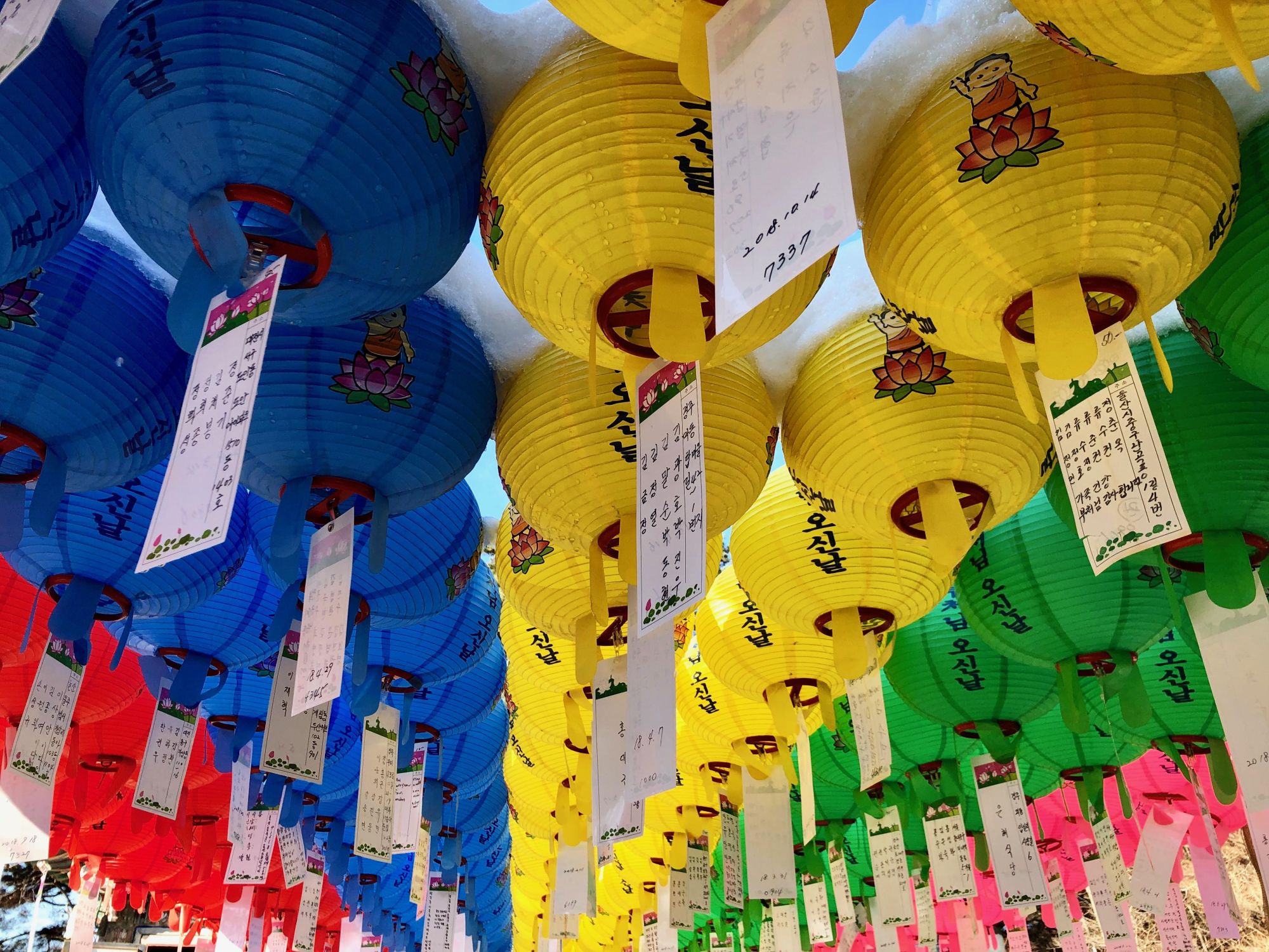 Why You Should Teach in South Korea With CIEE | CIEE