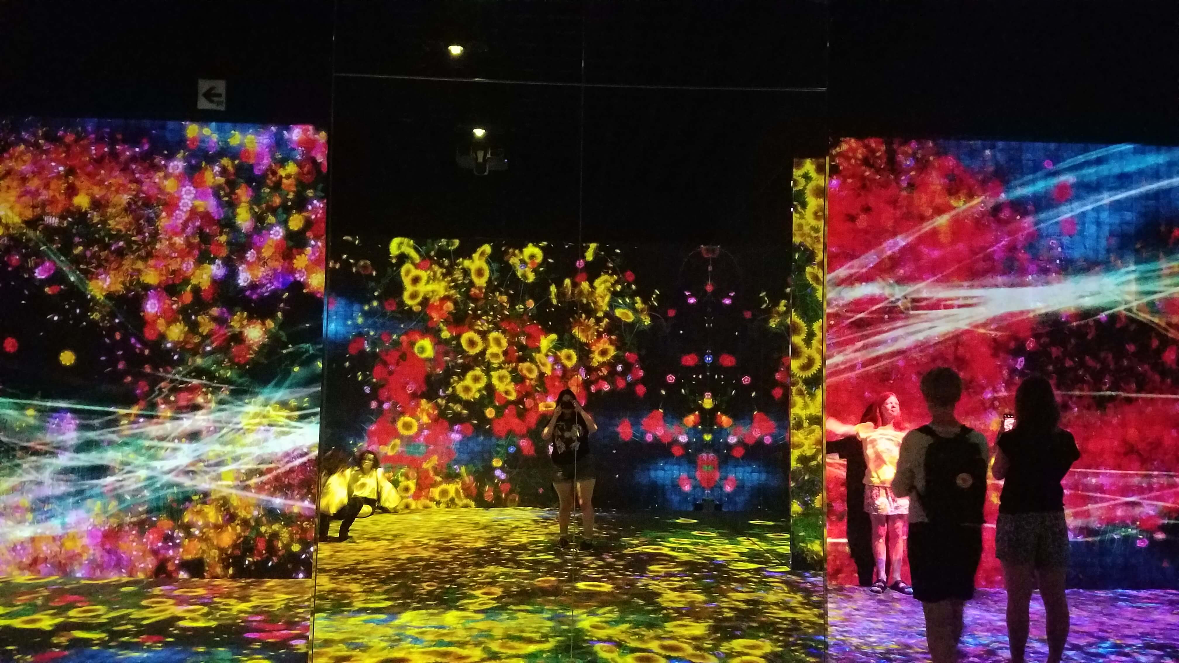 The amazing light museum: teamLab Borderless