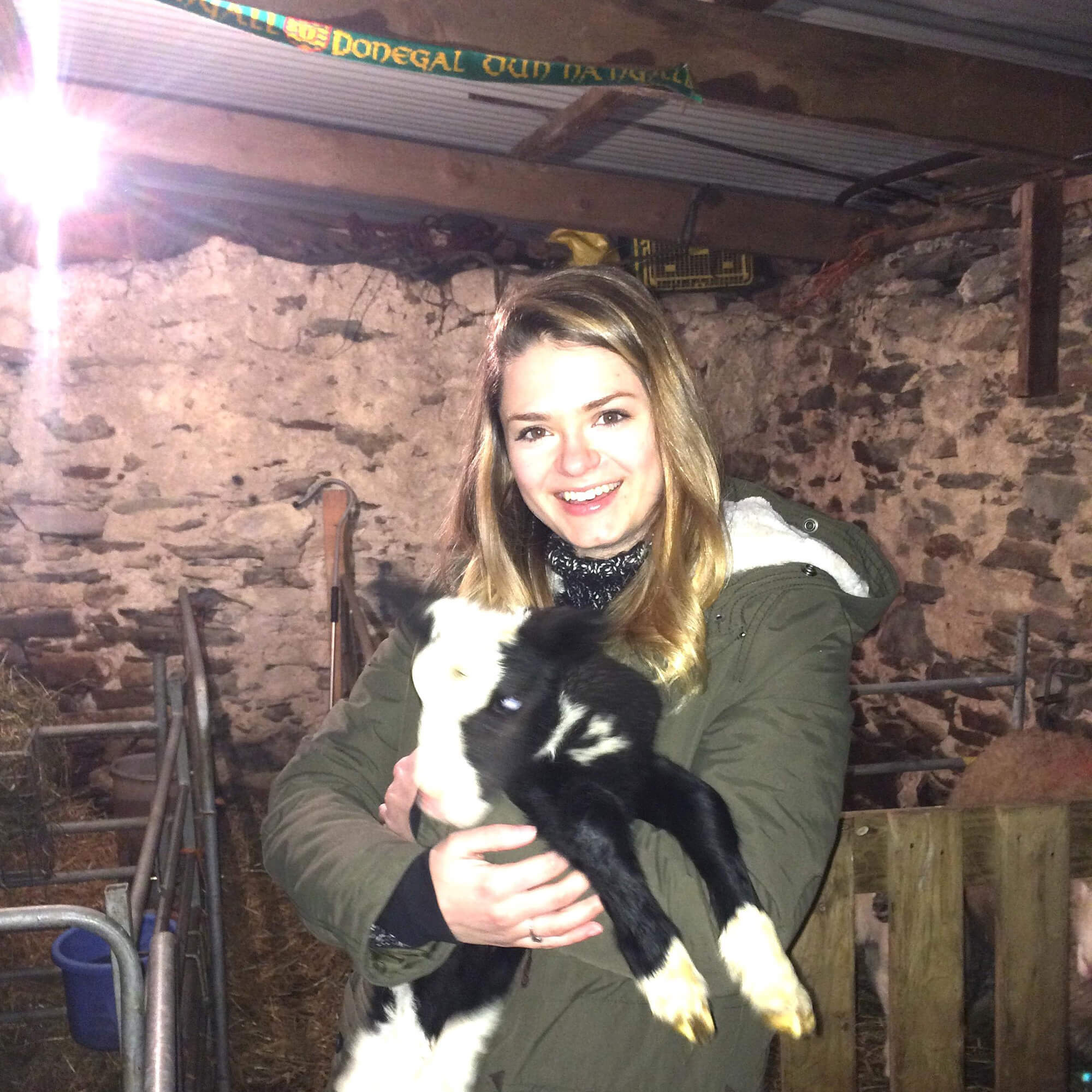 Rebecca Van Horn | CIEE