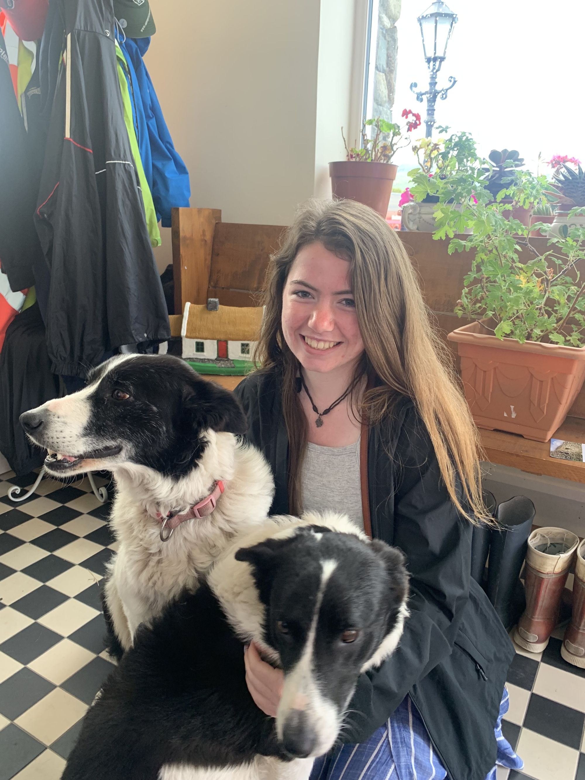 Our Trip to the Wild West of Ireland : Part 2
