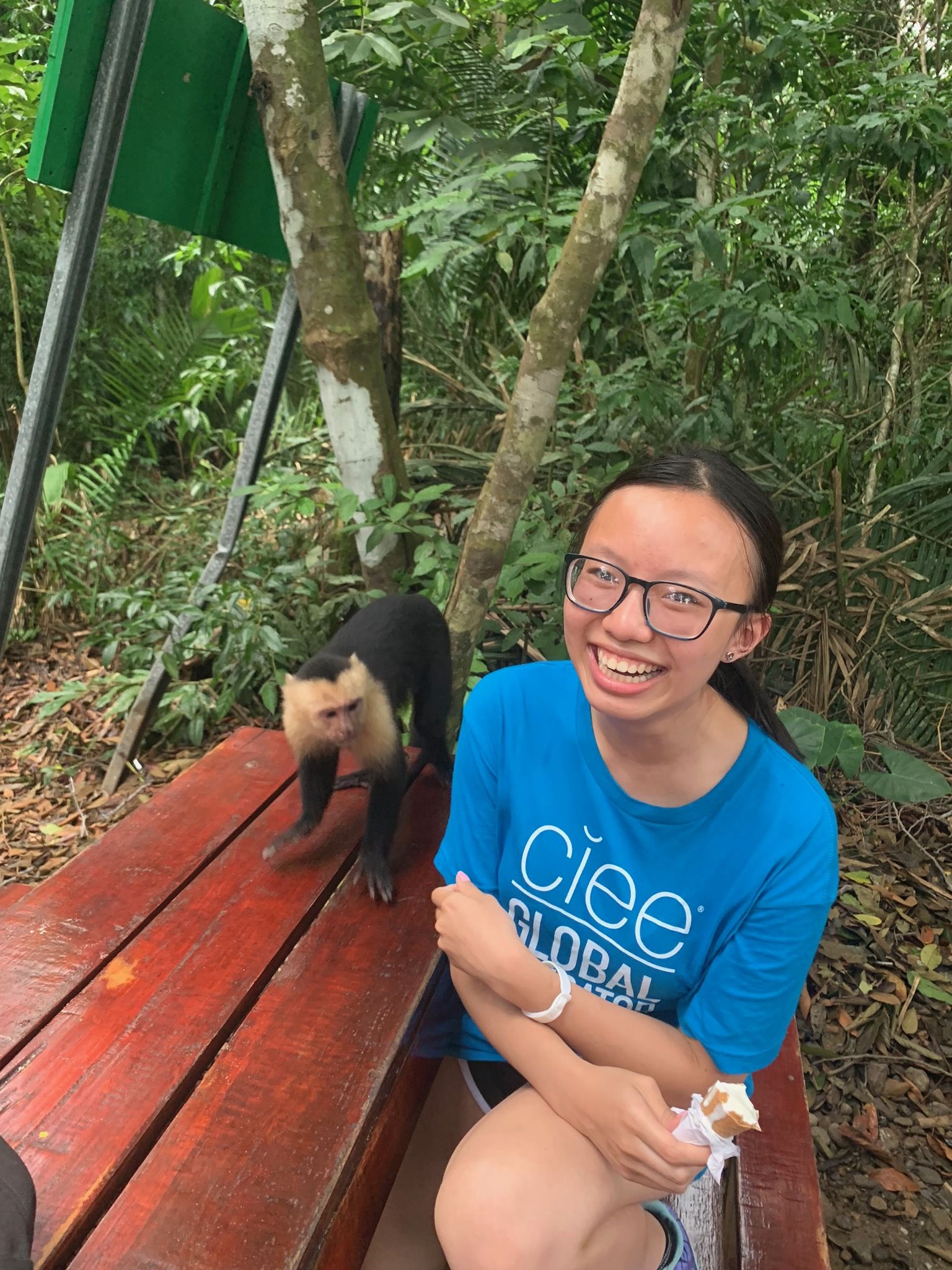 STUDENT BLOG: Monkeying Around -Mary D. | CIEE