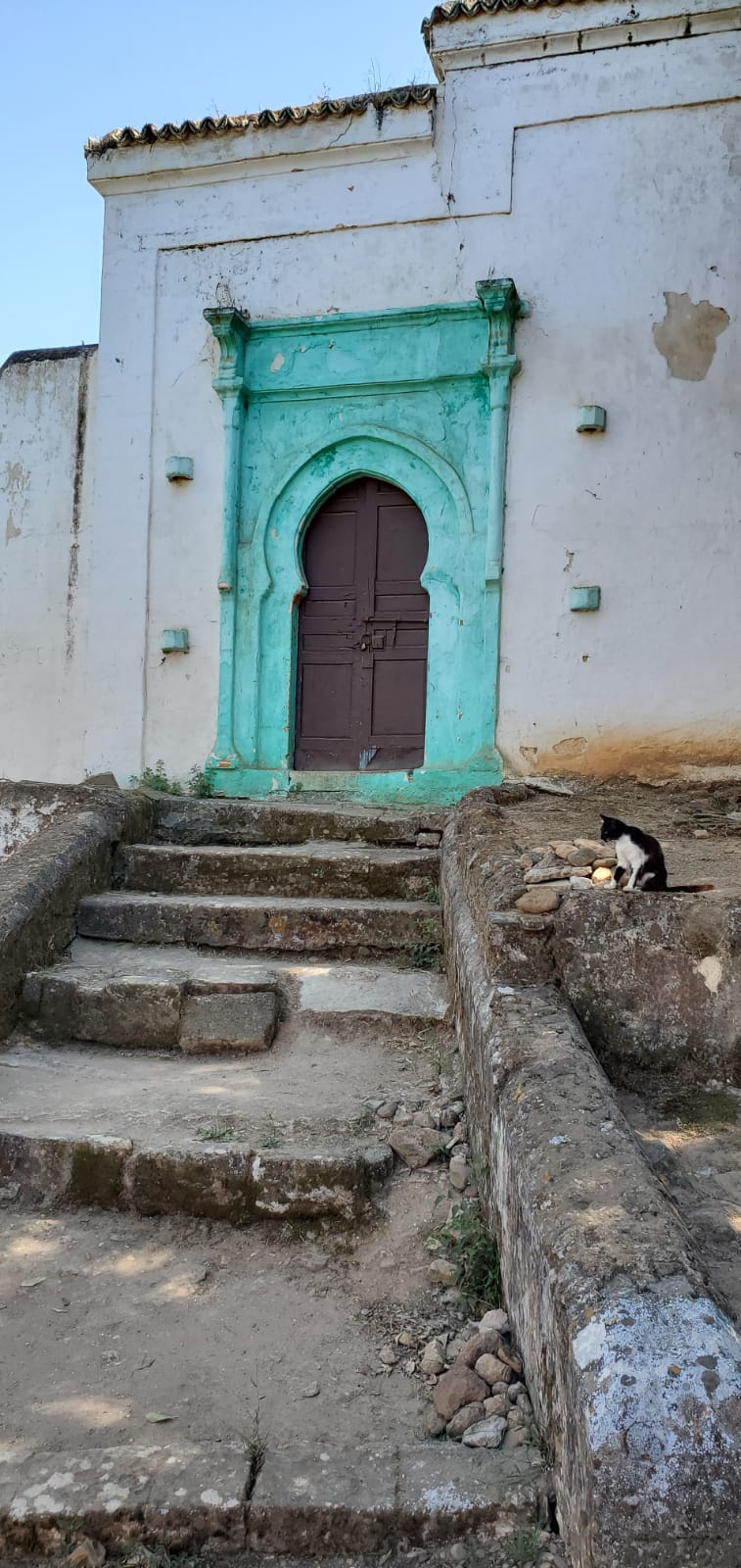 Modern Moroccan Society & Chellah Visit | CIEE