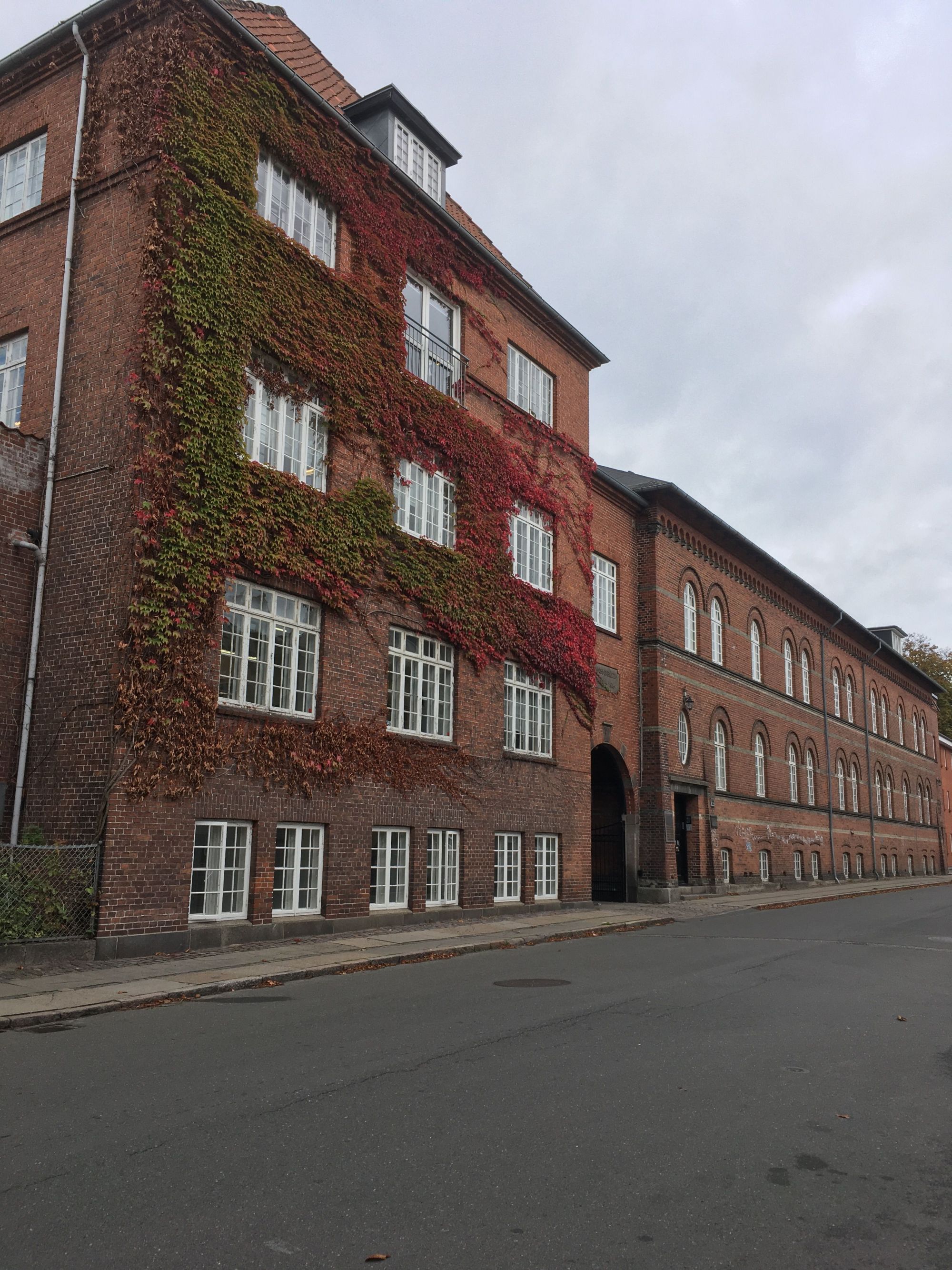 School In Denmark | CIEE