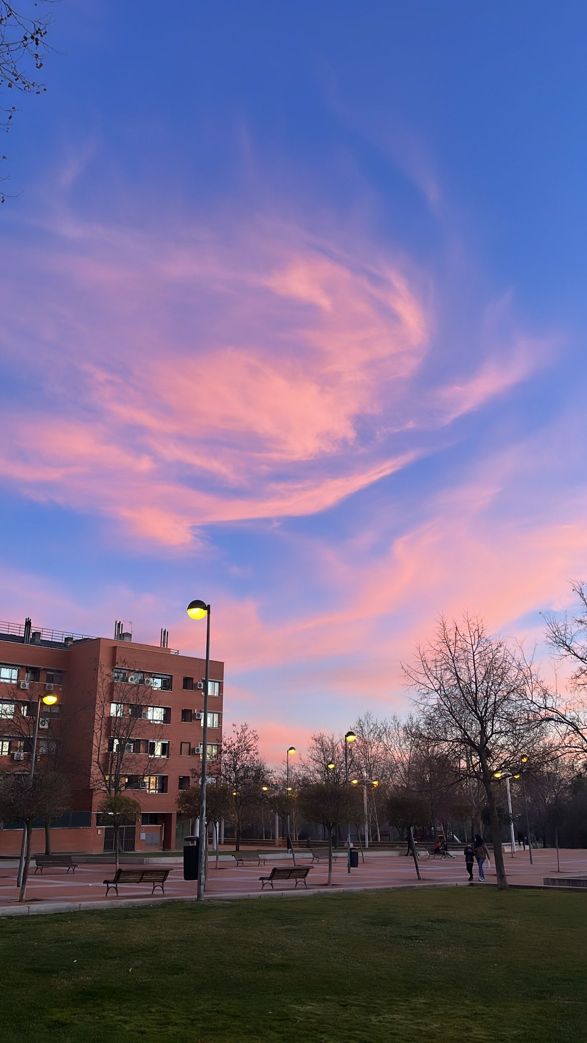 Iceberg Identities— Teaching in Madrid as a Walking California ...