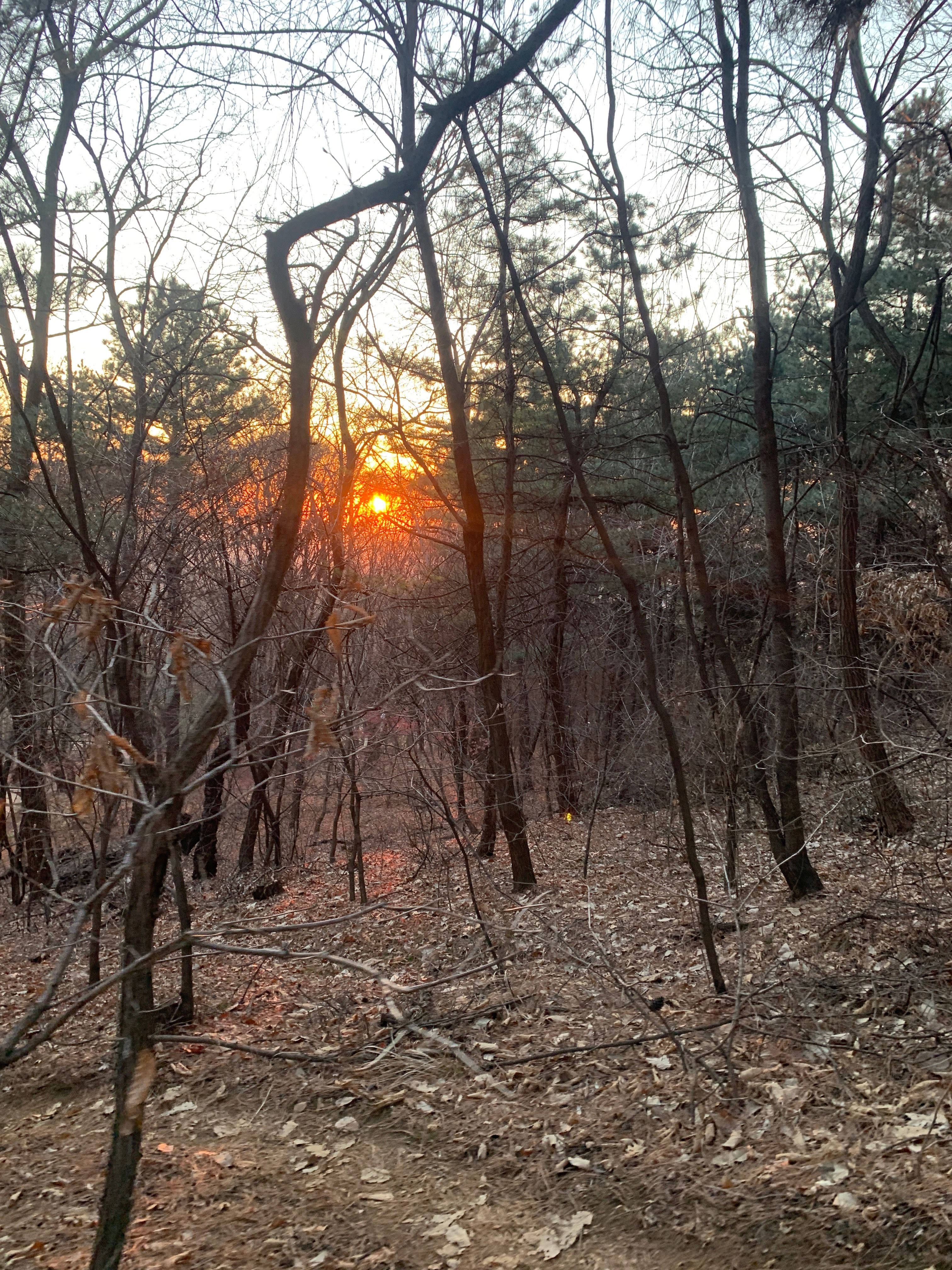 Ansan Pics + I Hope You Can Relax | CIEE