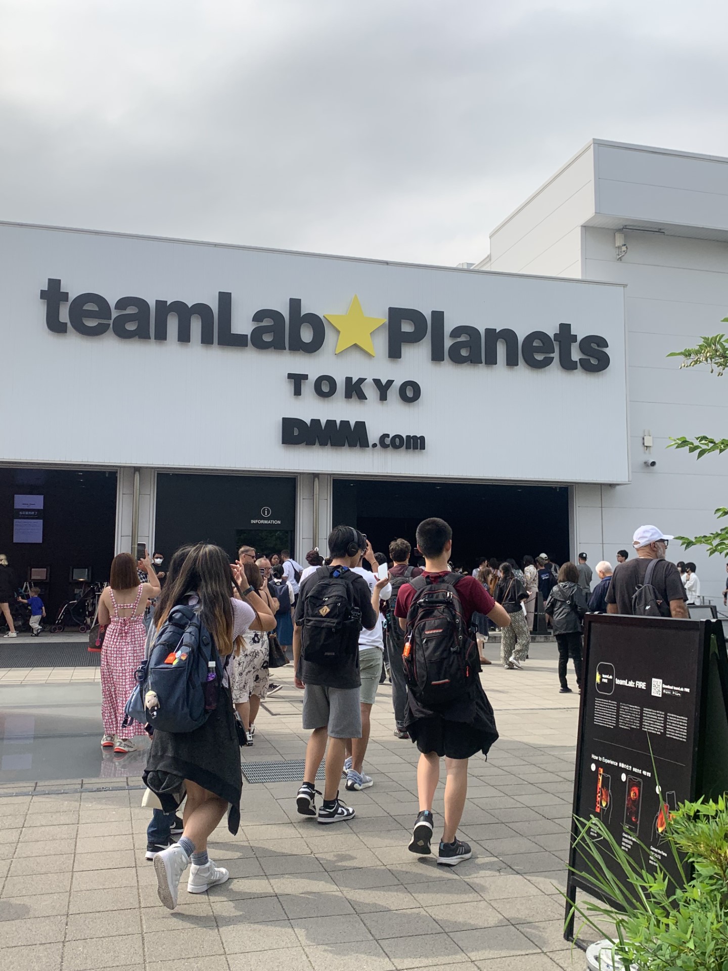 Exploring Tokyo Team Labs in Odaiba, Japan