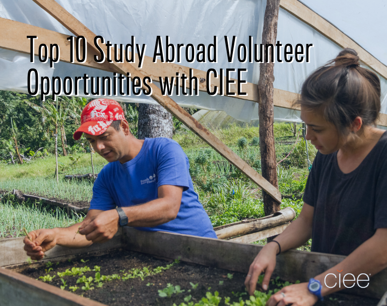Top 10 Study Abroad Volunteer Opportunities with CIEE