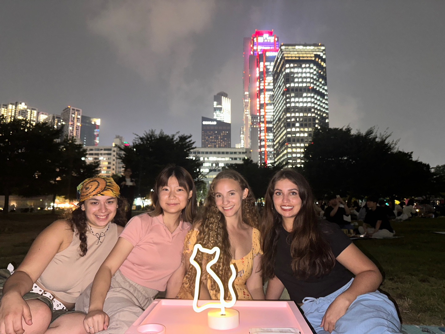 How To: Picnic at the Han River