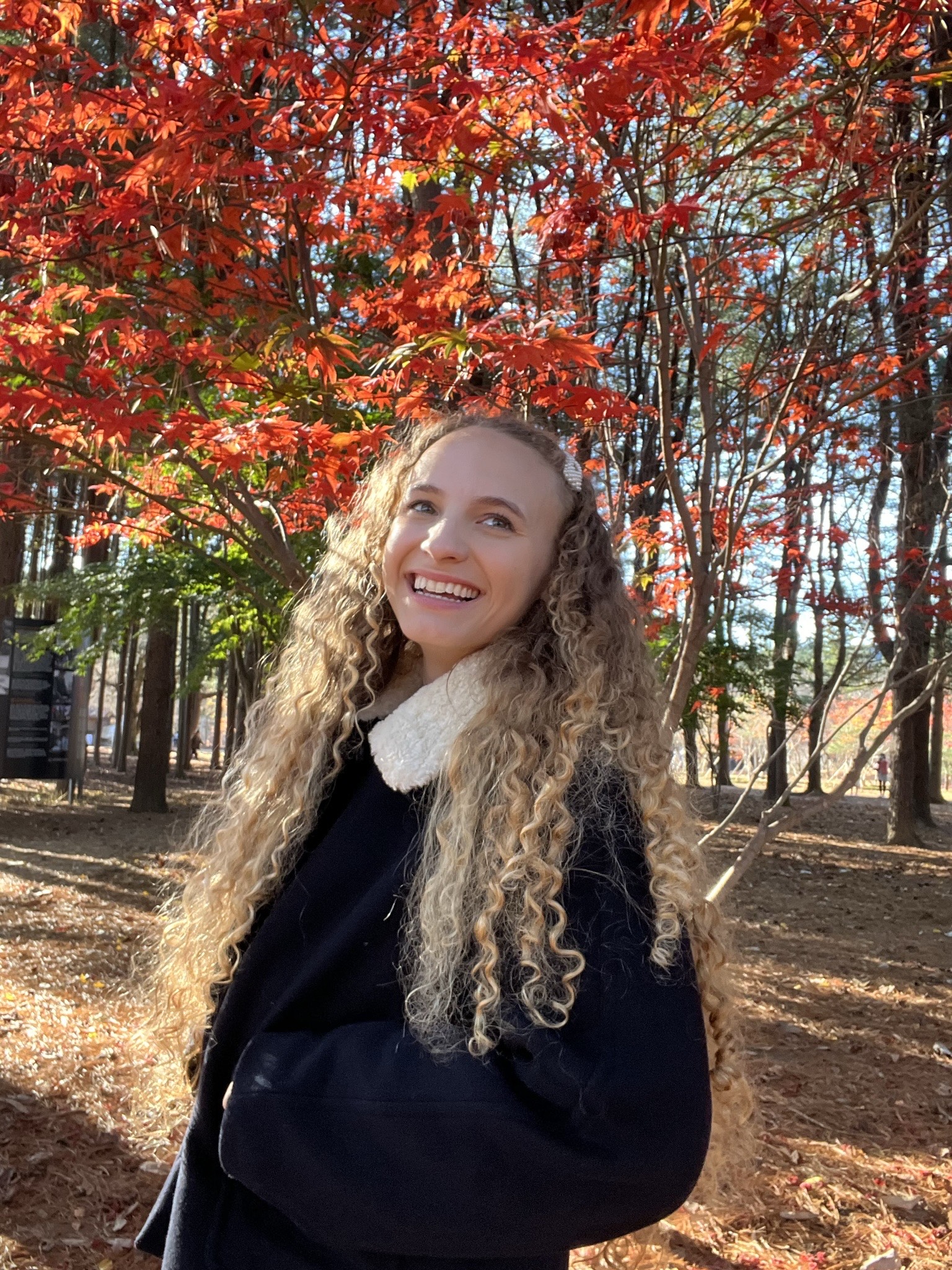 Nami Island: Micronation on the Han River