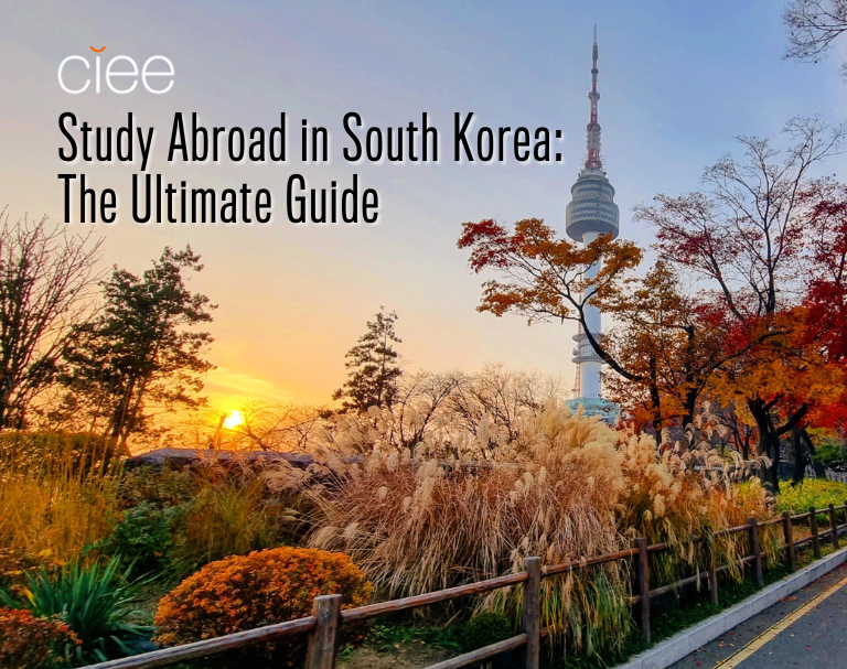 Study Abroad in South Korea: The Ultimate Guide