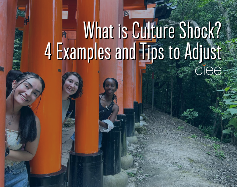 What is Culture Shock? 4 Examples and Tips to Adjust | CIEE