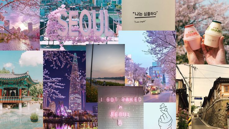 How to Prepare for Living and Teaching South Korea | CIEE