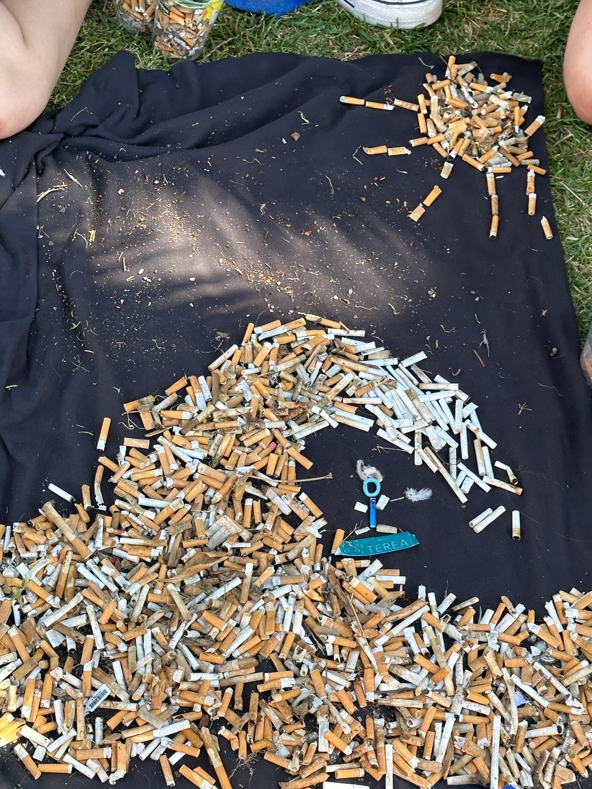 Cigarette butts? This is nuts! | CIEE