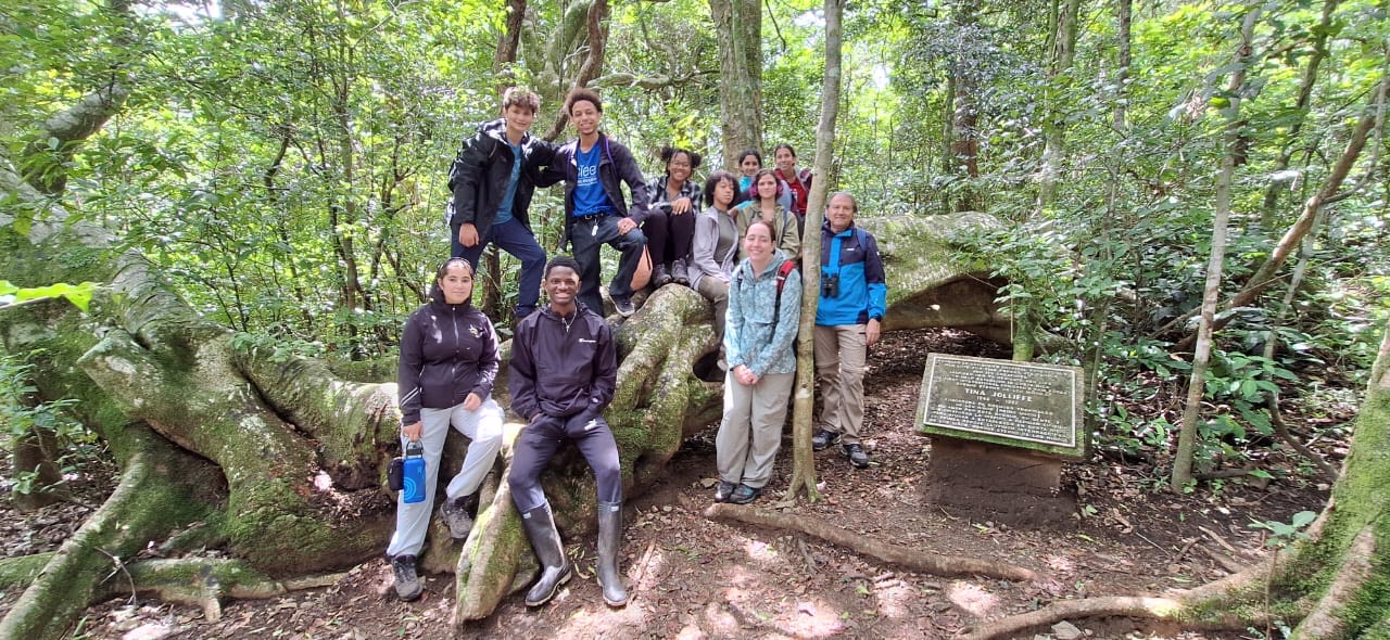 Global Navigator Perspective: Trees, Monkeys, Adventures, Oh My! | CIEE