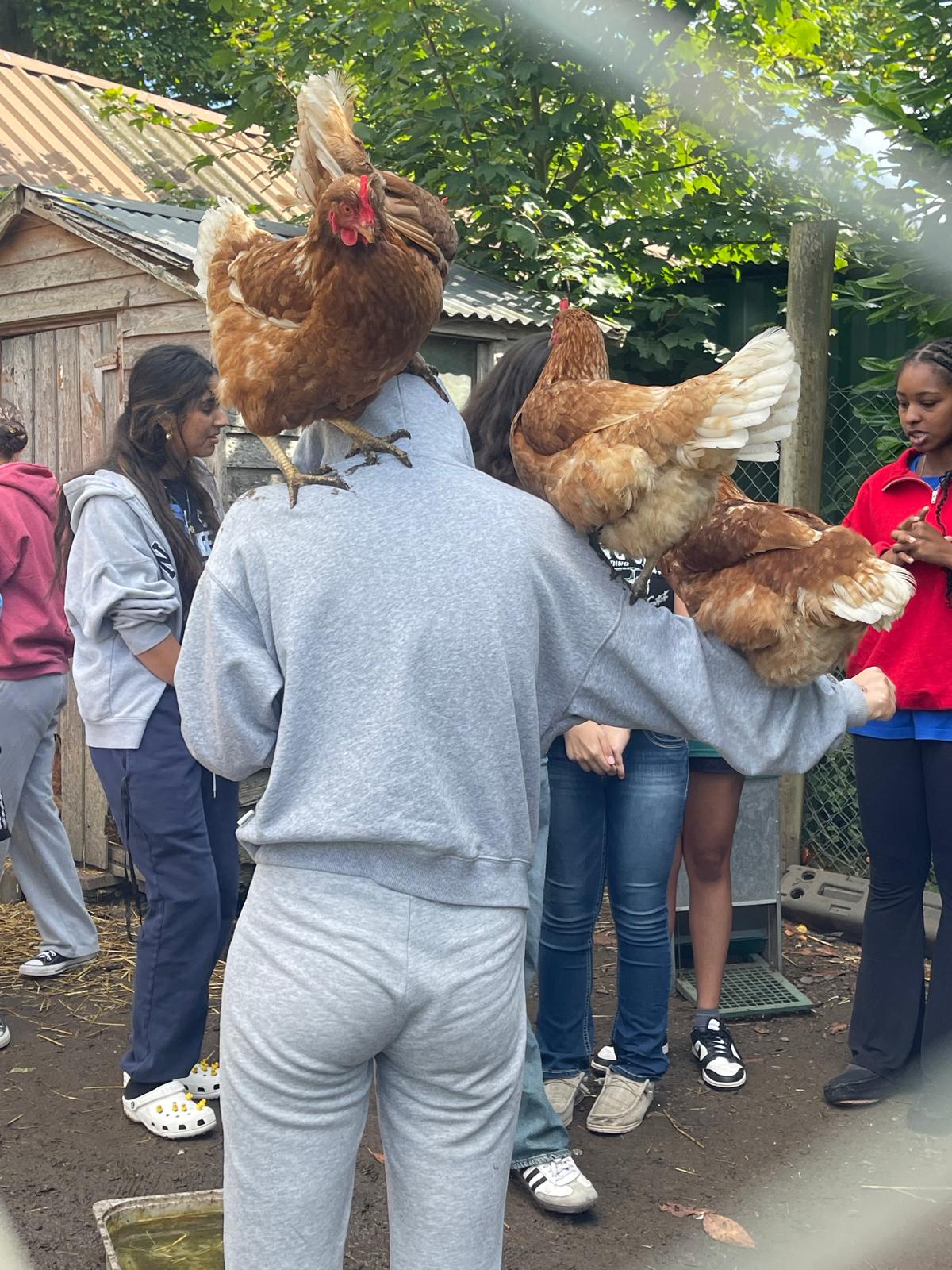 A Day of Baking and.... Bog Jumping? | CIEE