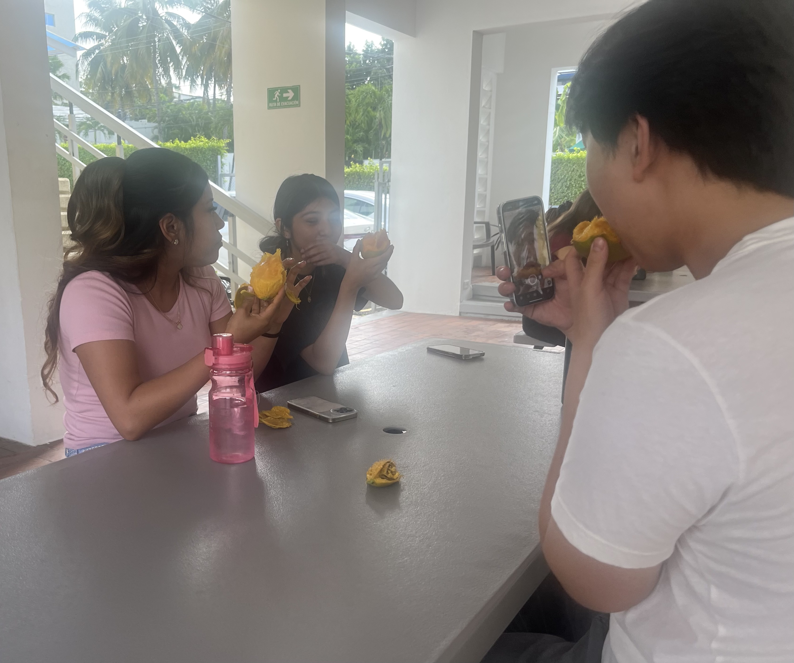 What's Mangoing On?! | CIEE