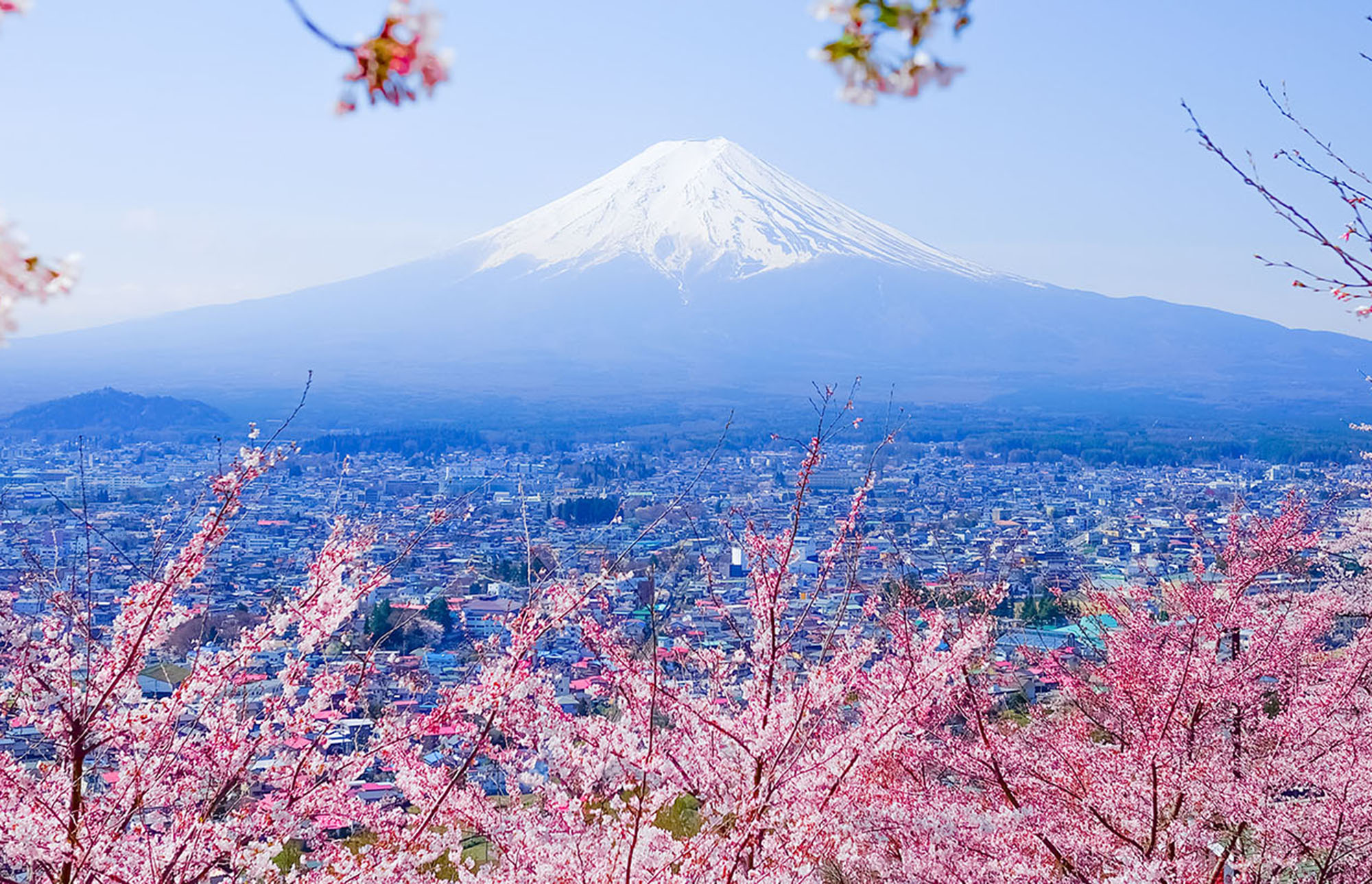 English Teaching in Japan - What It's Like Teaching in Japan