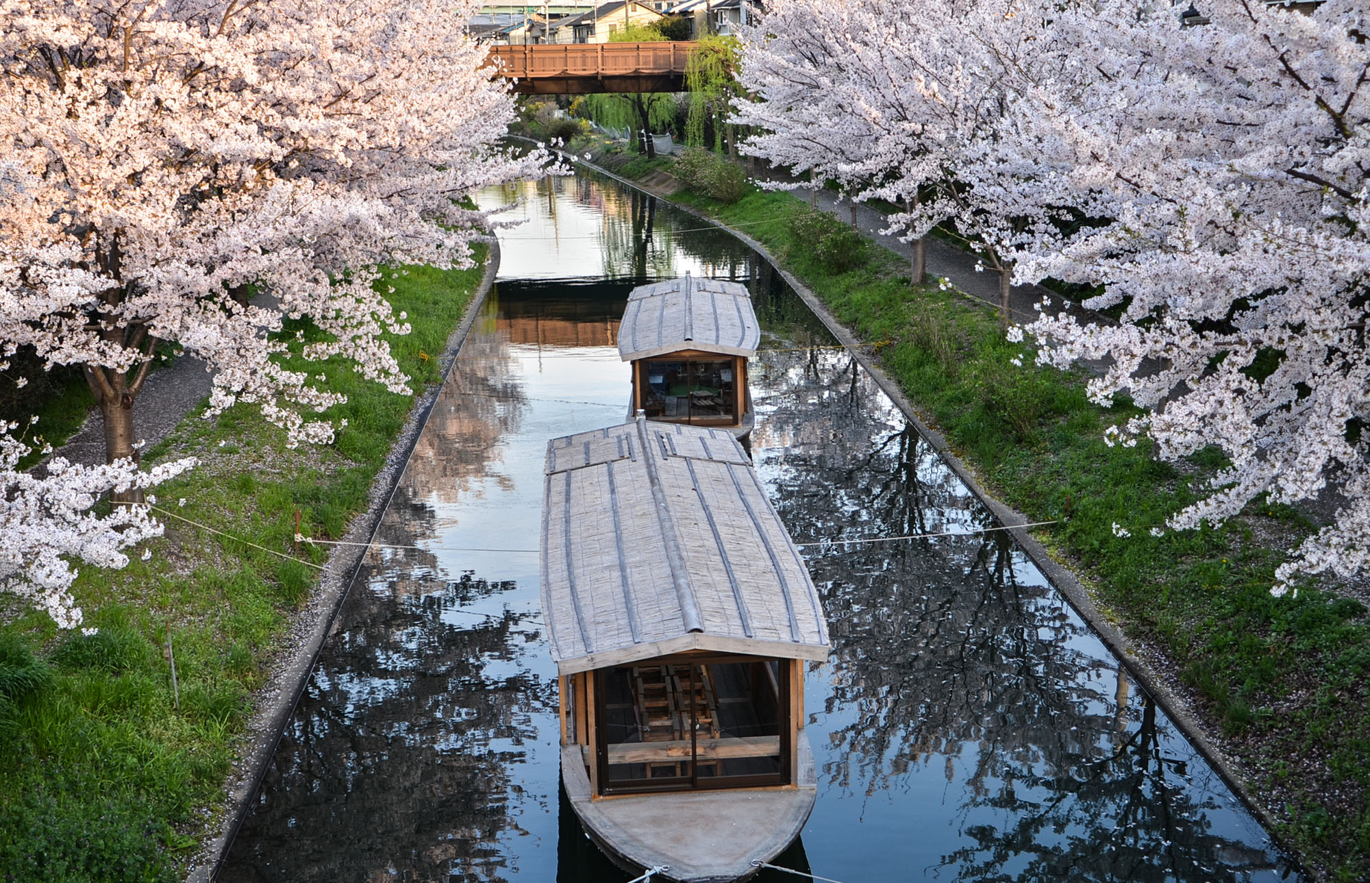 Study Abroad in Kyoto | CIEE