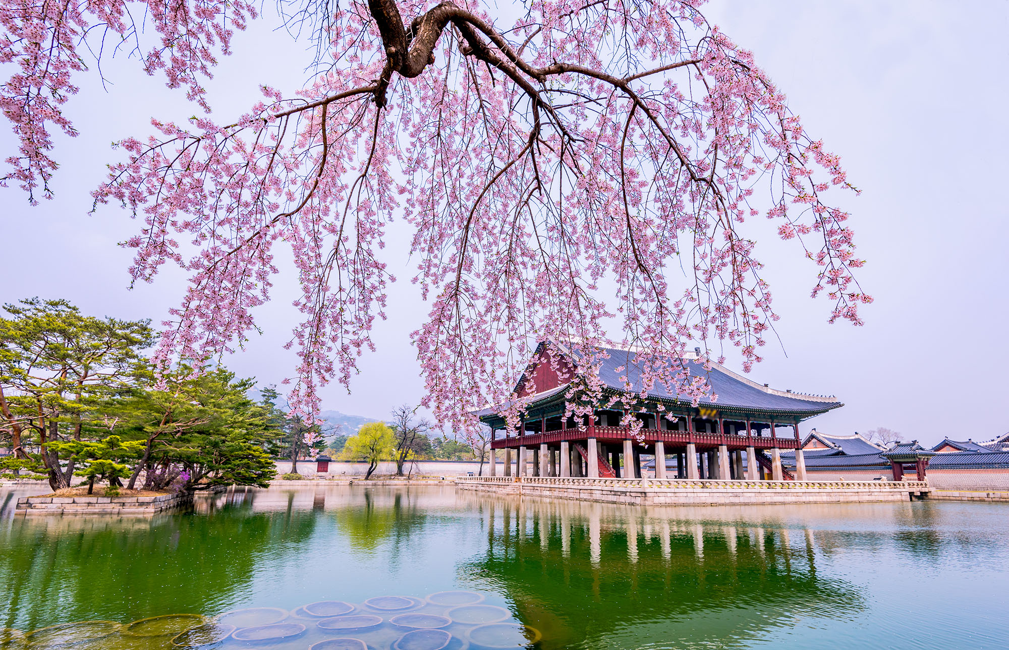 Spring Semester Programs | CIEE