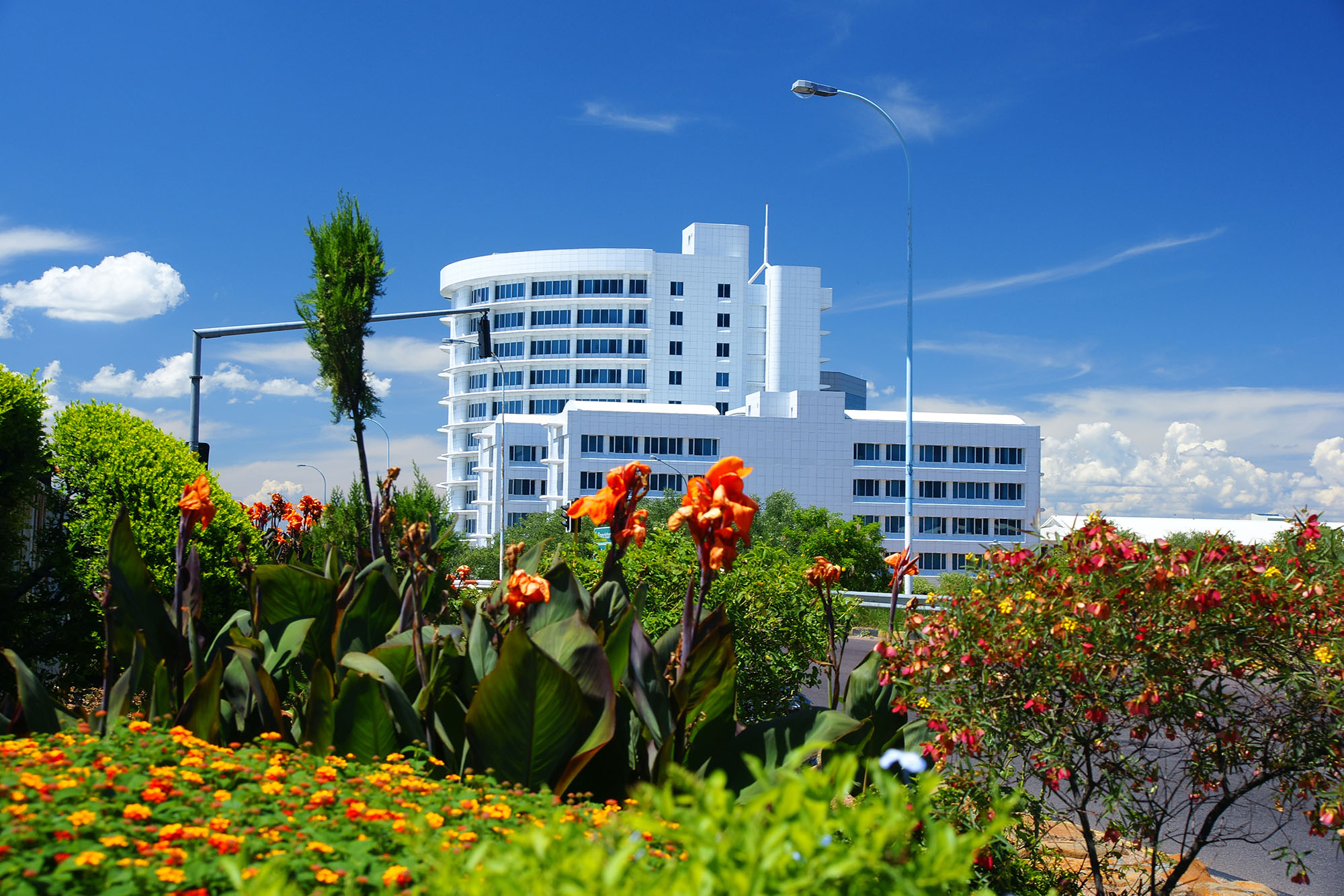 Arts + Sciences | Gaborone | College Study Abroad | CIEE