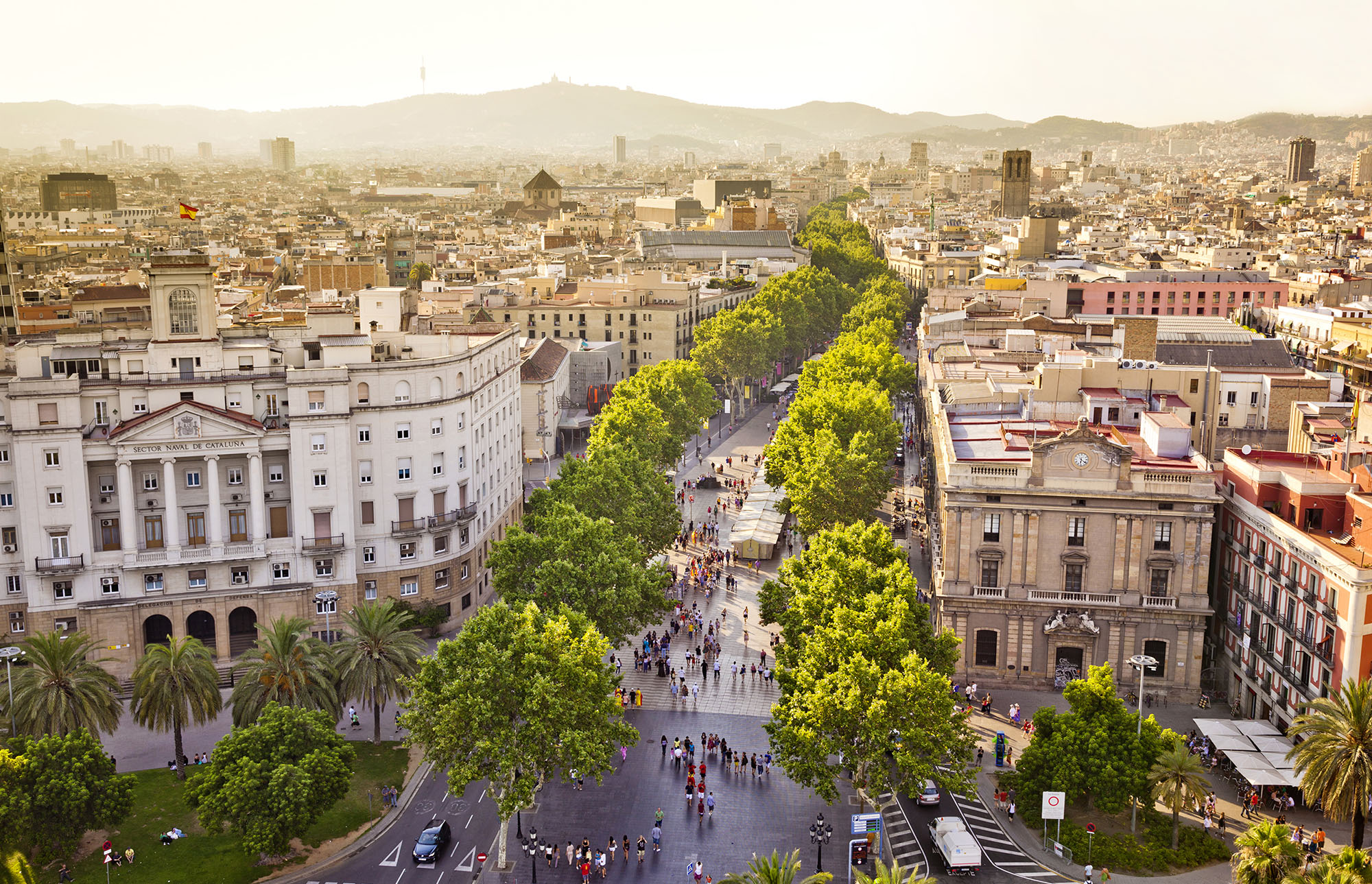 Business + Culture | Barcelona | College Study Abroad | CIEE