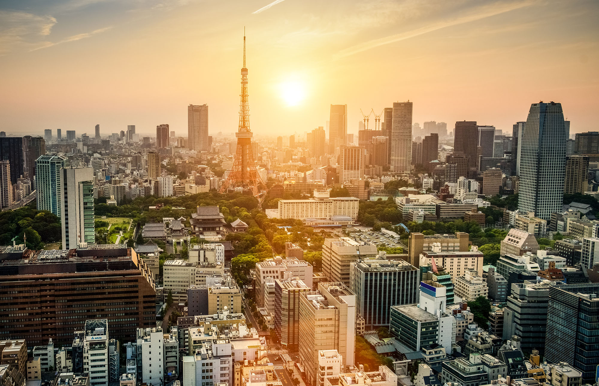 Summer Japanese Studies | Tokyo | College Study Abroad | CIEE