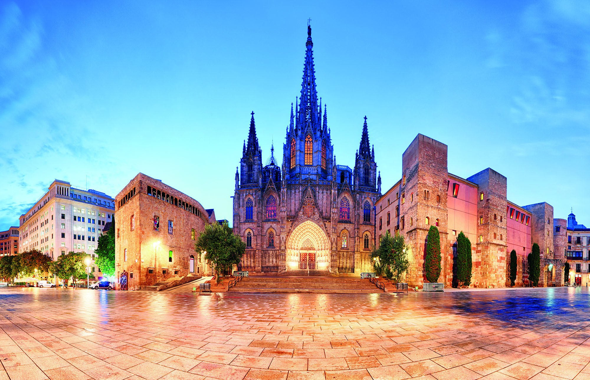 Summer Business + Culture | Barcelona | College Study Abroad | CIEE