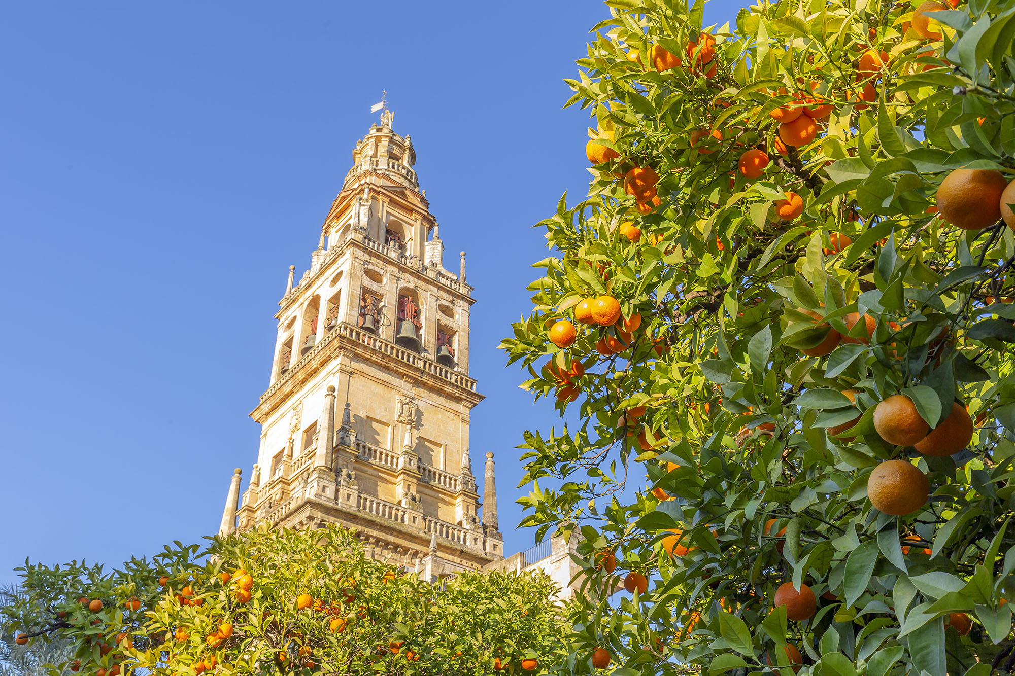 Advanced Liberal Arts | Seville | College Study Abroad | CIEE