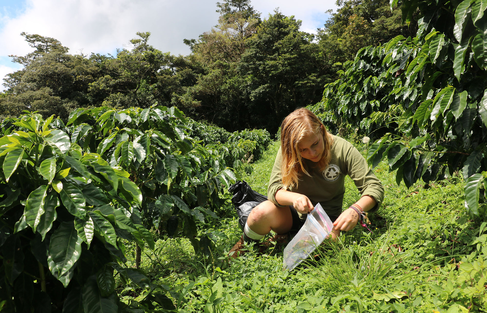 Experiential Learning + Research | CIEE