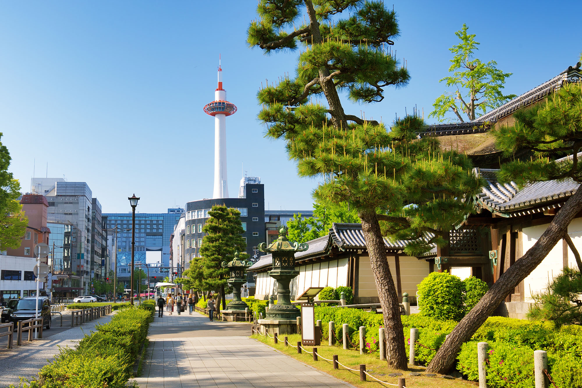 Summer in Tokyo (Sophia University) | Tokyo | College Study Abroad | CIEE