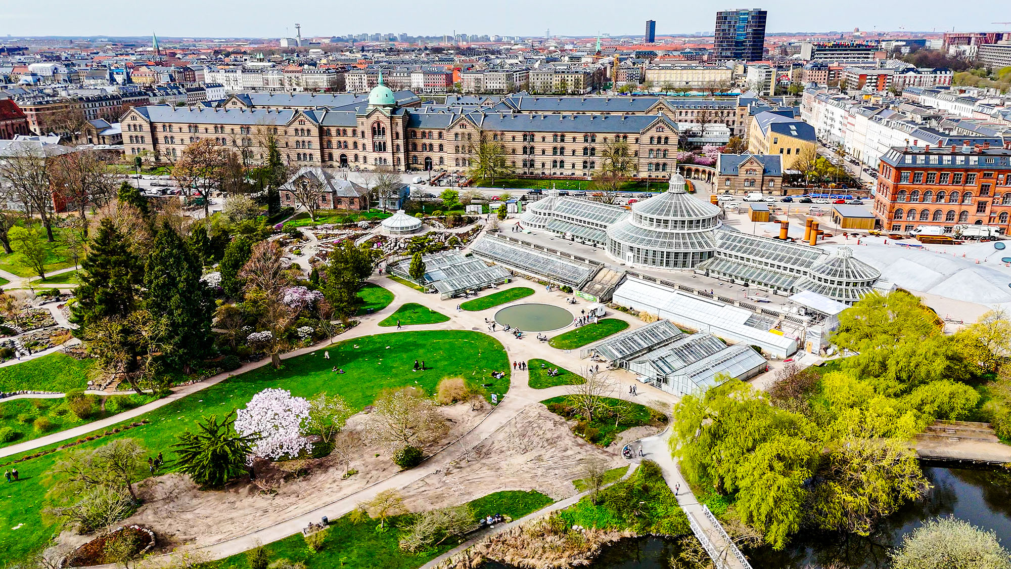 Semester in Copenhagen | Copenhagen | College Study Abroad | CIEE