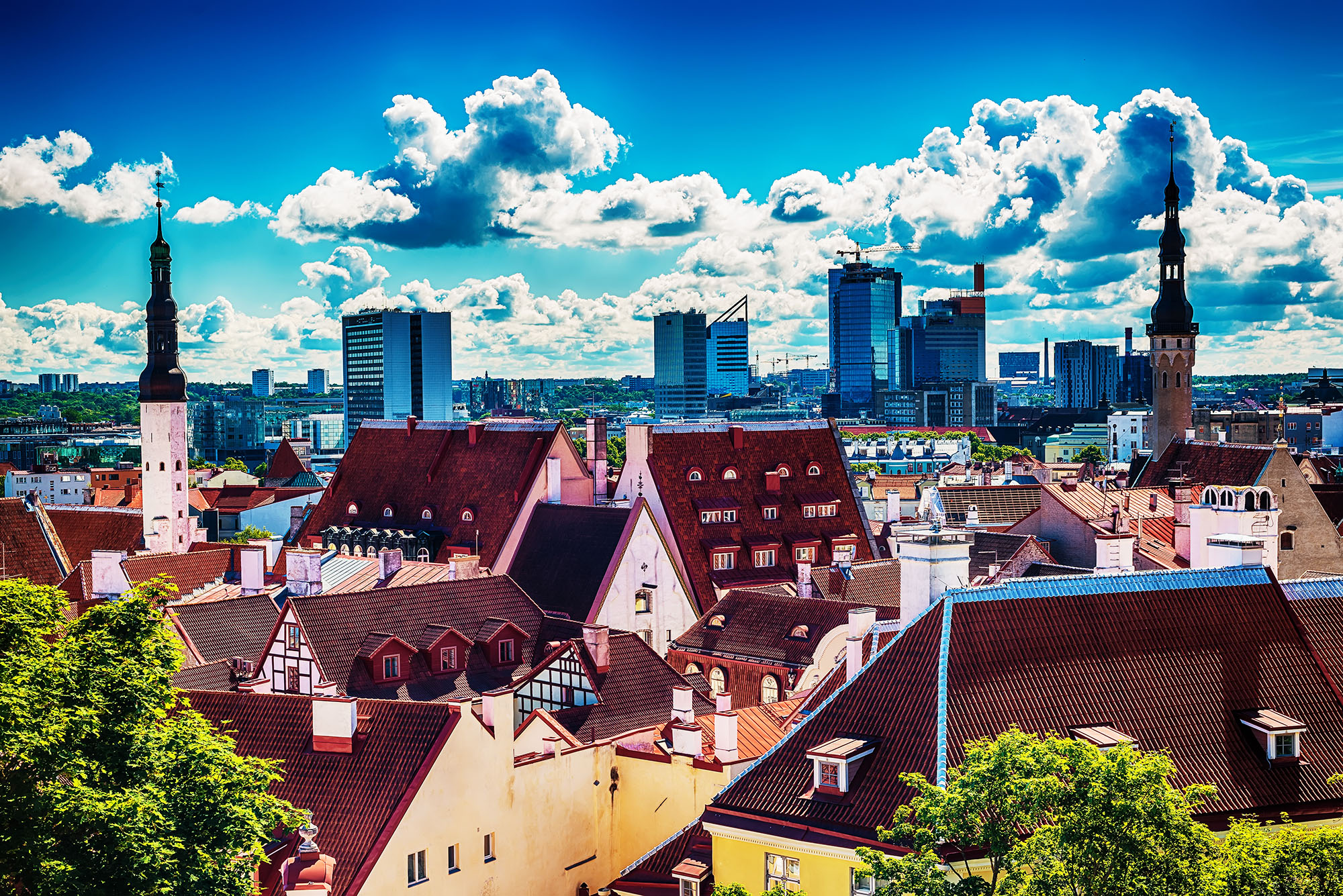 Summer Intern + Study Abroad | Tallinn | College Study Abroad | CIEE