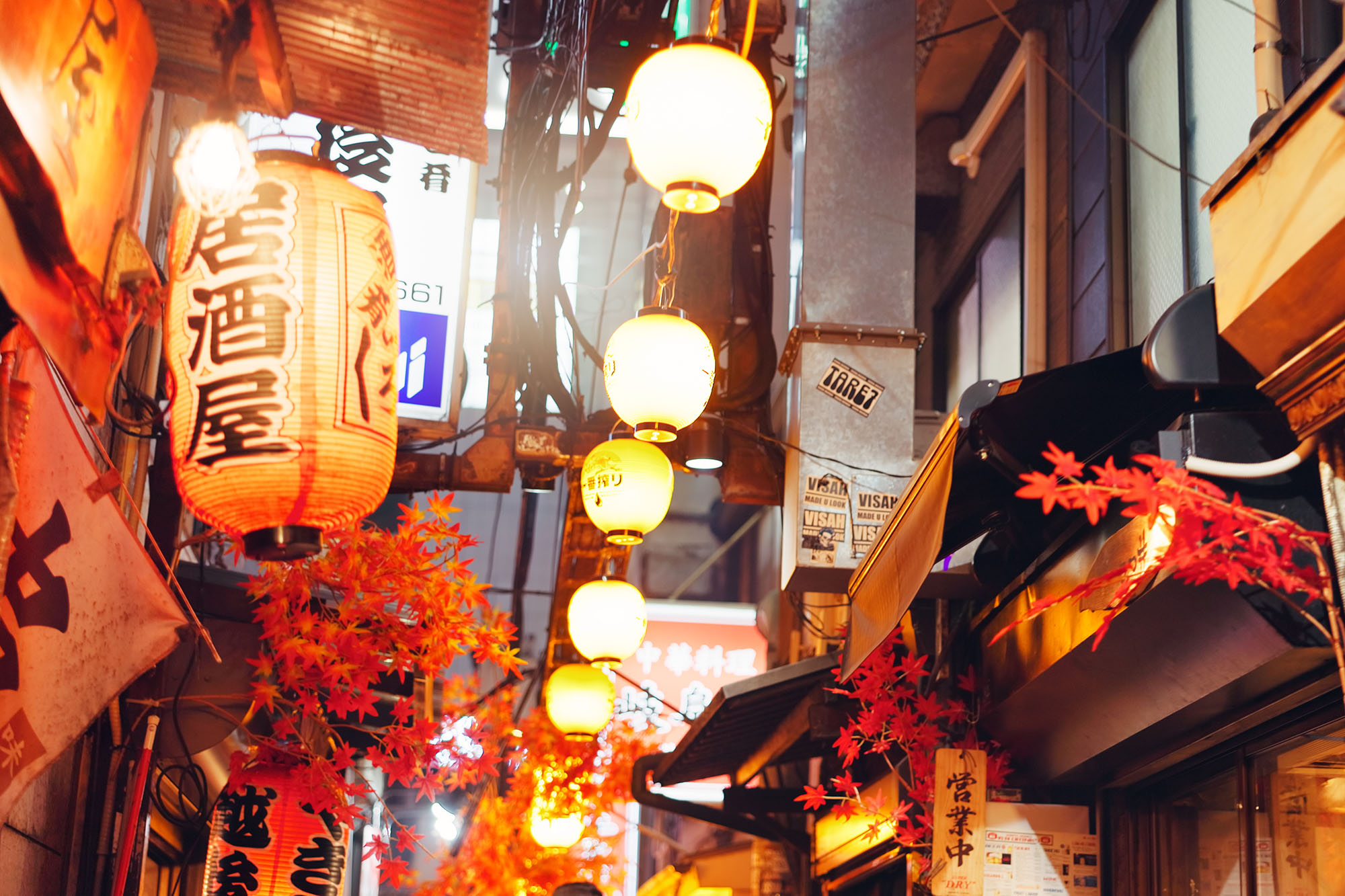 Semester Intern + Study Abroad | Tokyo | College Study Abroad | CIEE