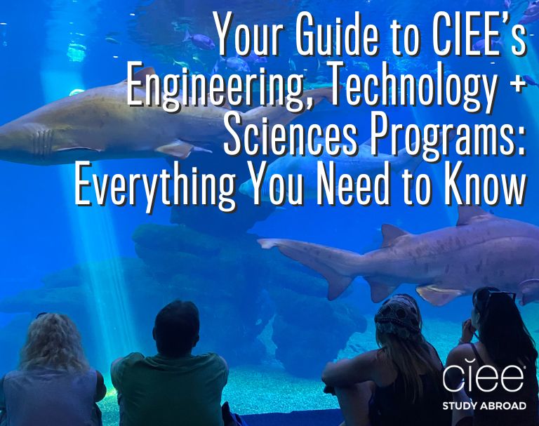 Your Guide to CIEE’s Engineering, Technology + Sciences Programs: Everything You Need to Know | CIEE