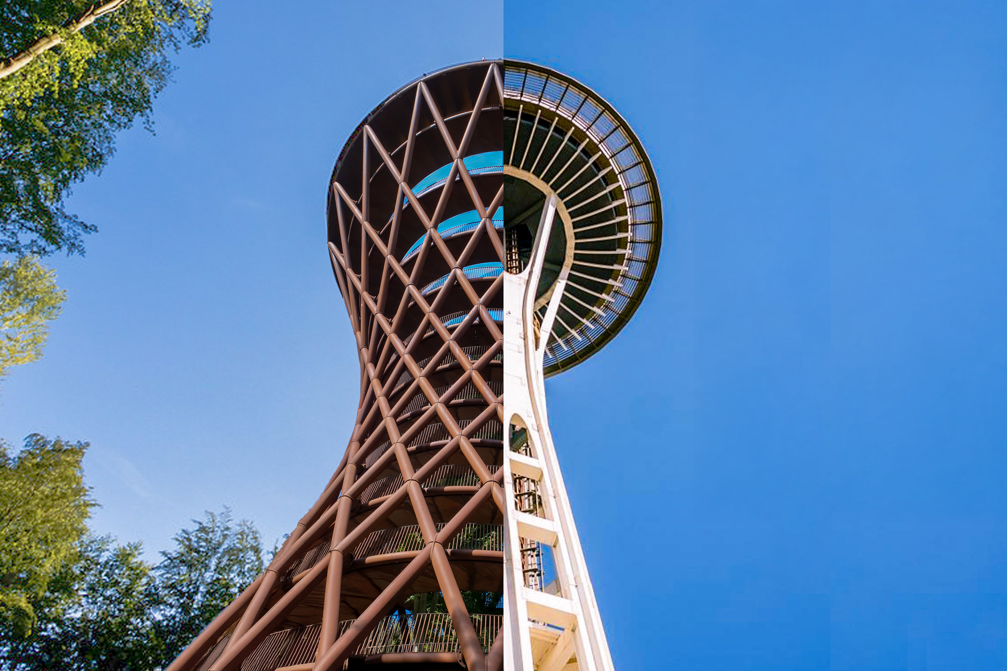 Scan Design Foundation Environmental Sustainability Internship | CIEE