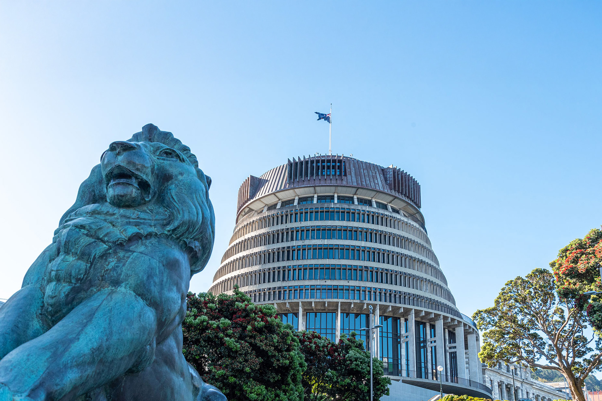 Quarter in Auckland | Auckland | College Study Abroad | CIEE