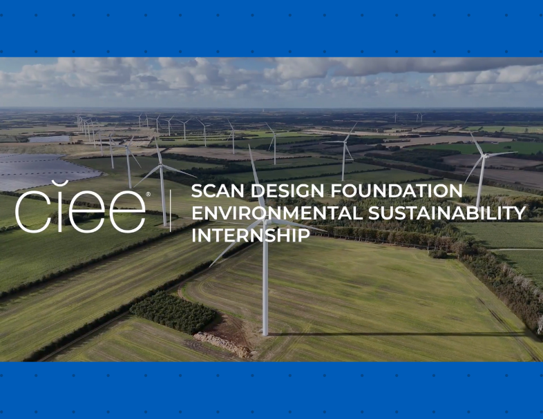 Introducing the 2026 SCAN Design Foundation Environmental ...