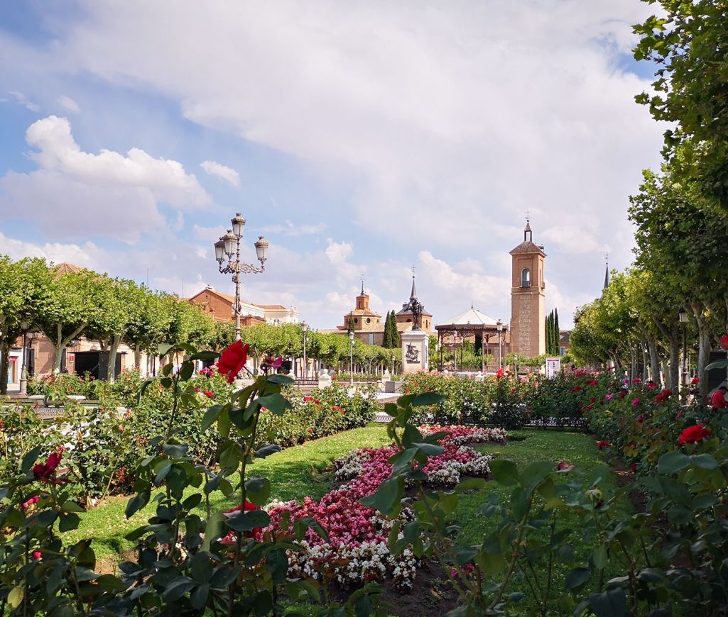 Summer Language + Culture | Alcala de Henares | College Study Abroad | CIEE