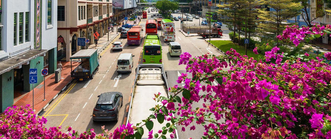 Sustainable Smart Cities | Singapore | College Study Abroad | CIEE