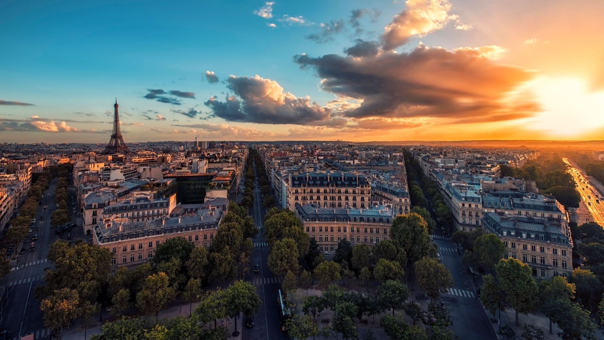 Global Navigator Operations | CIEE