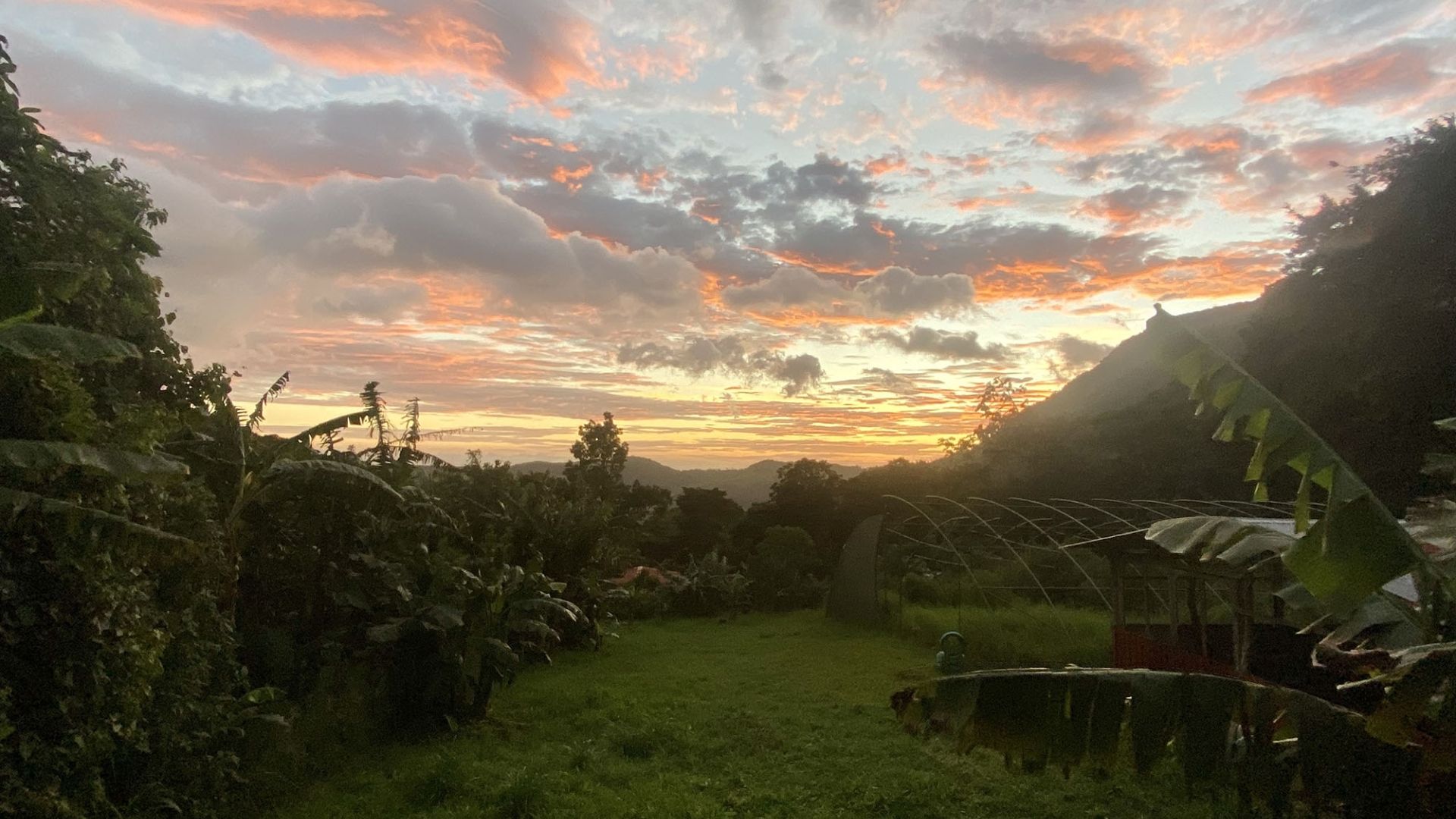 Katie Fennessey | CIEE